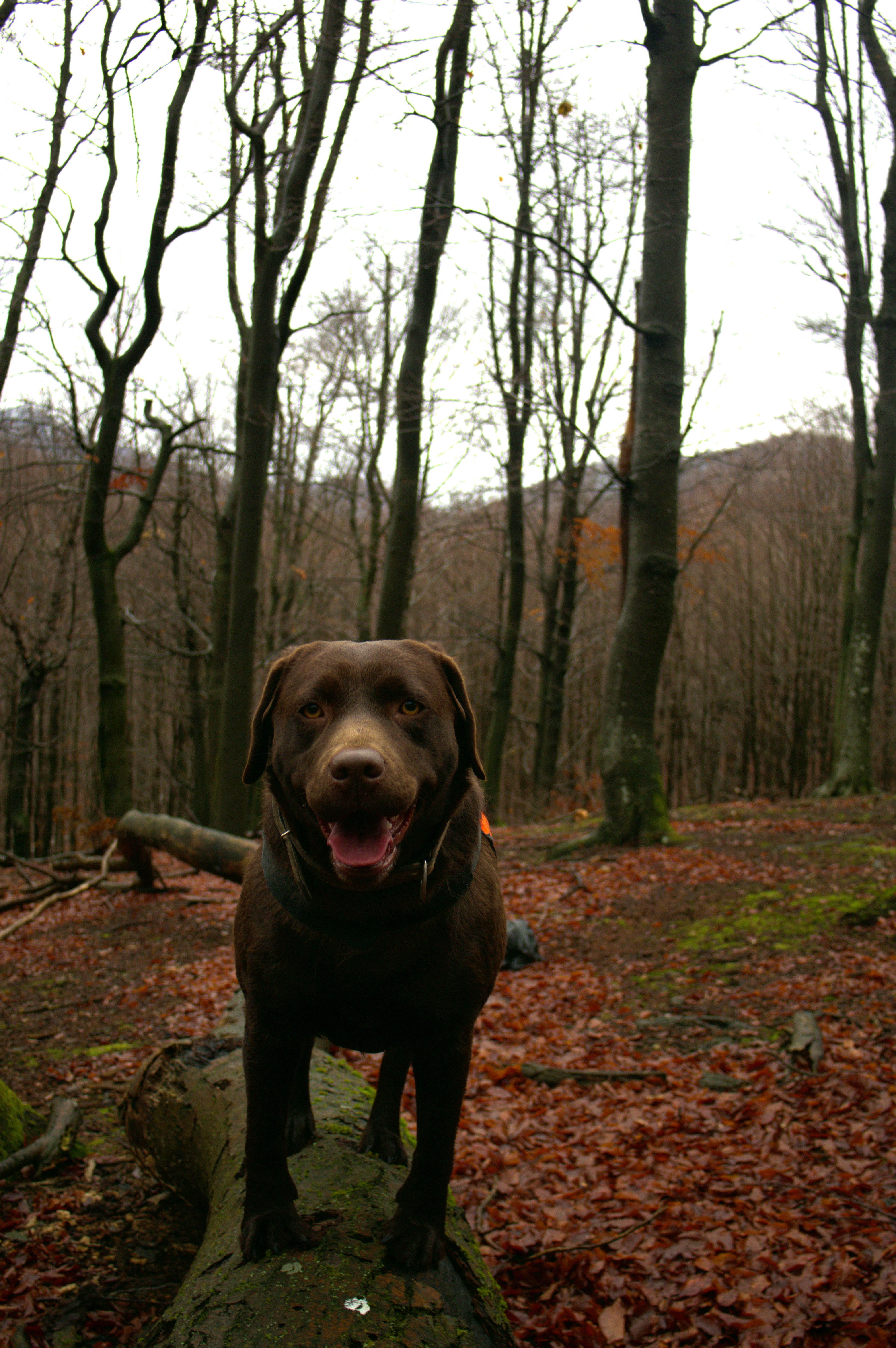 Photo by Martin Lednár with Canon EOS R50