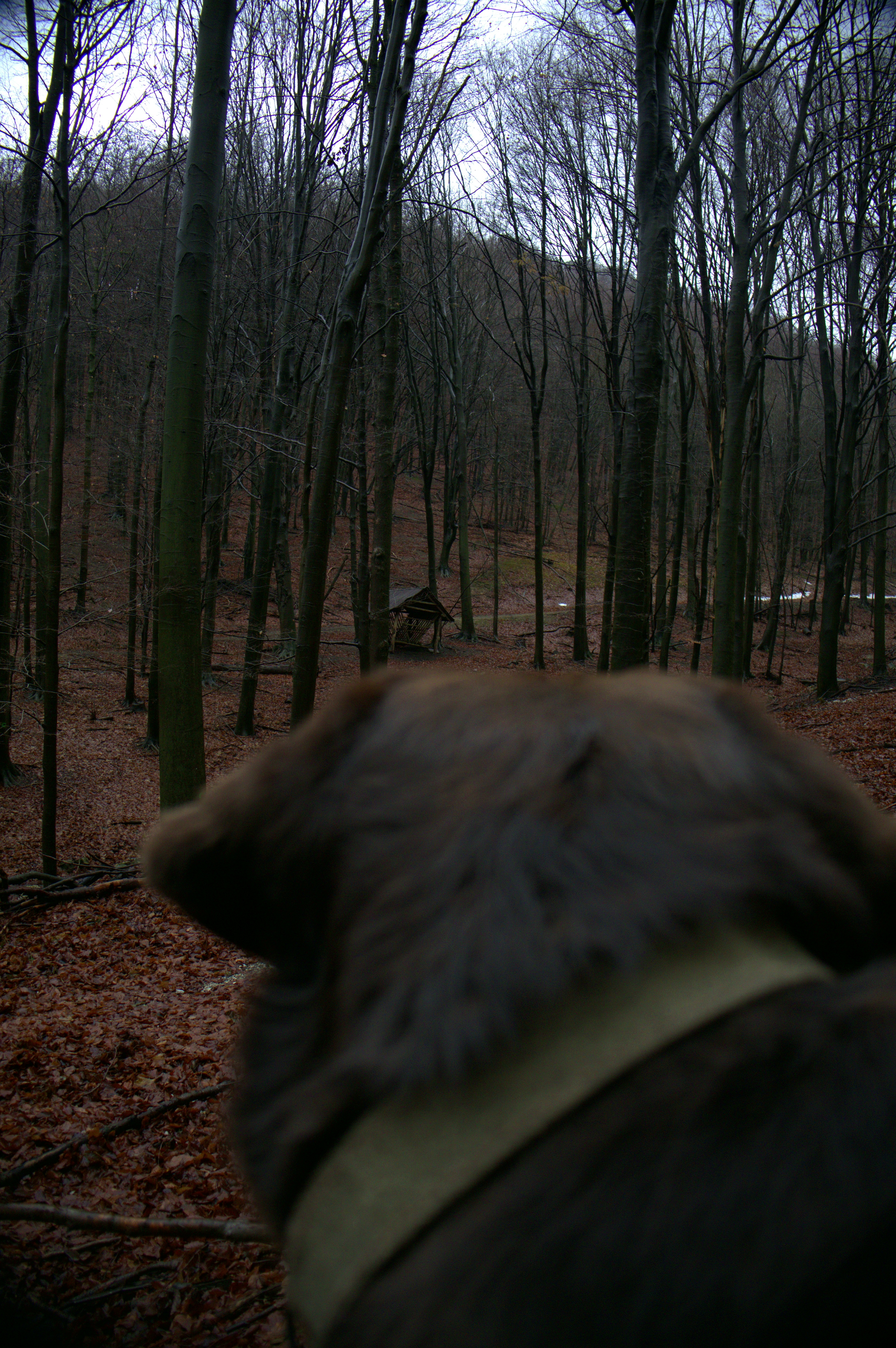 Photo by Martin Lednár with Canon EOS R50