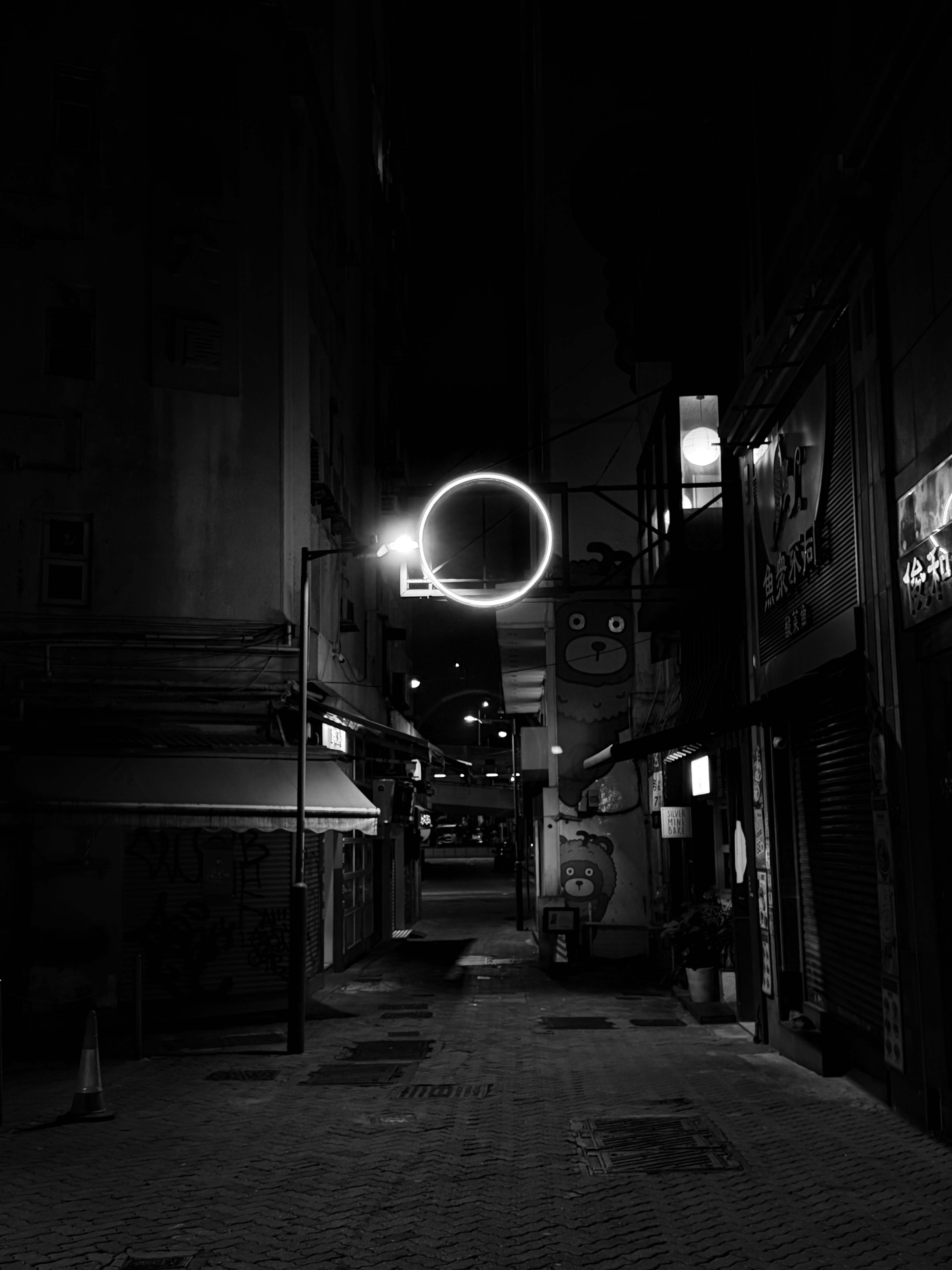 Neon Ring Over a Dim Street: Night Hollow in Mono