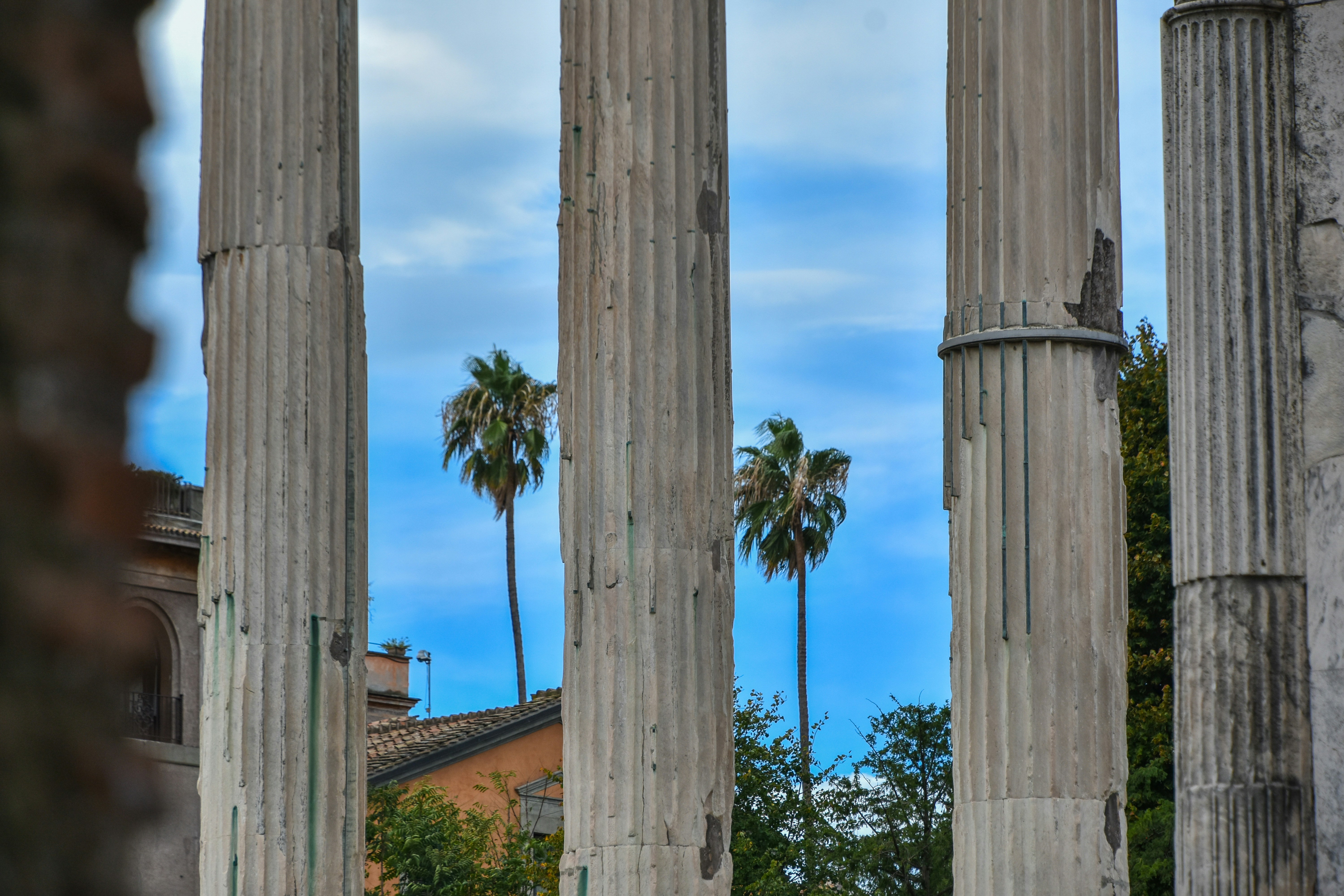 Photo by The Quiet Atlas with Nikon D7200