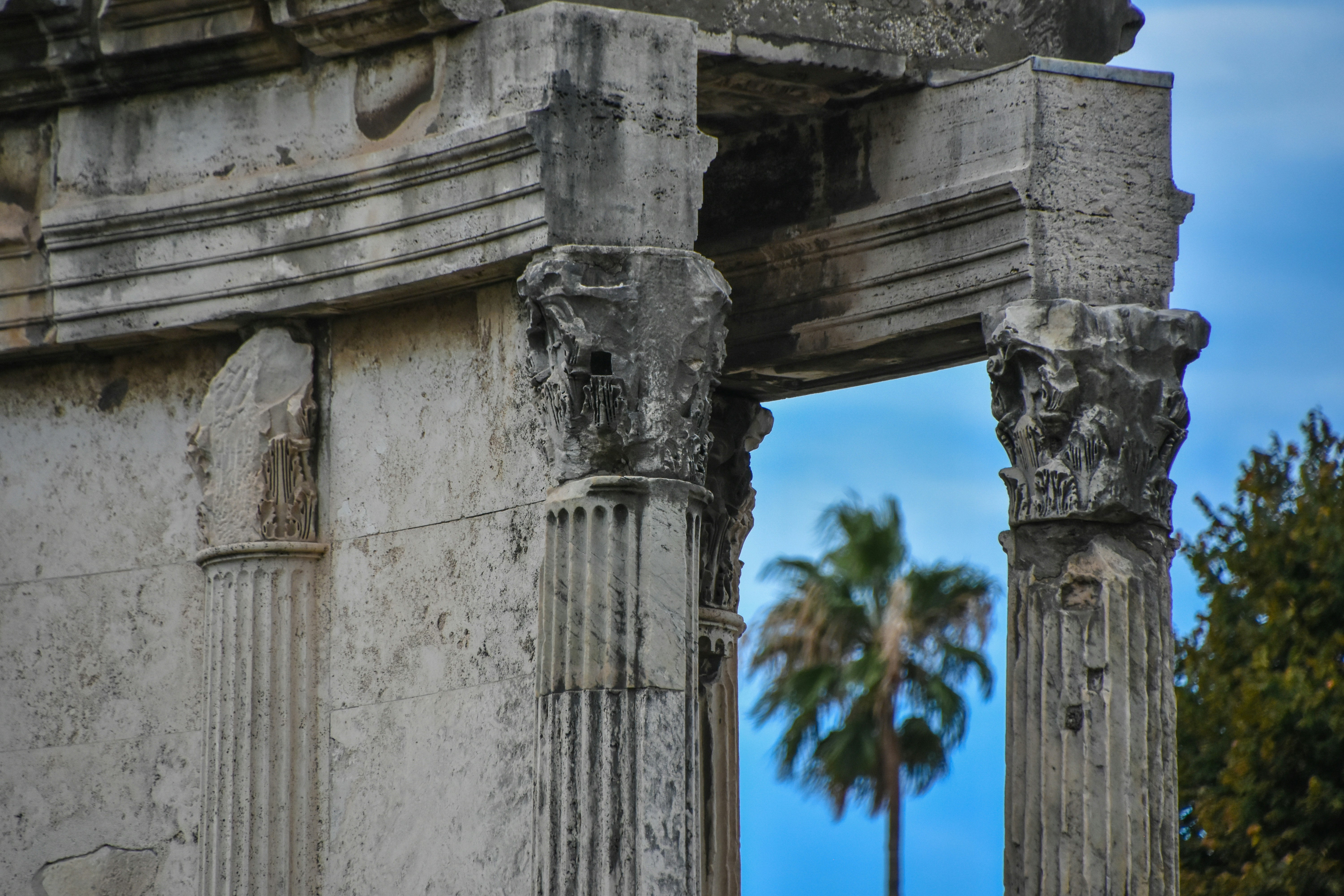 Photo by The Quiet Atlas with Nikon D7200