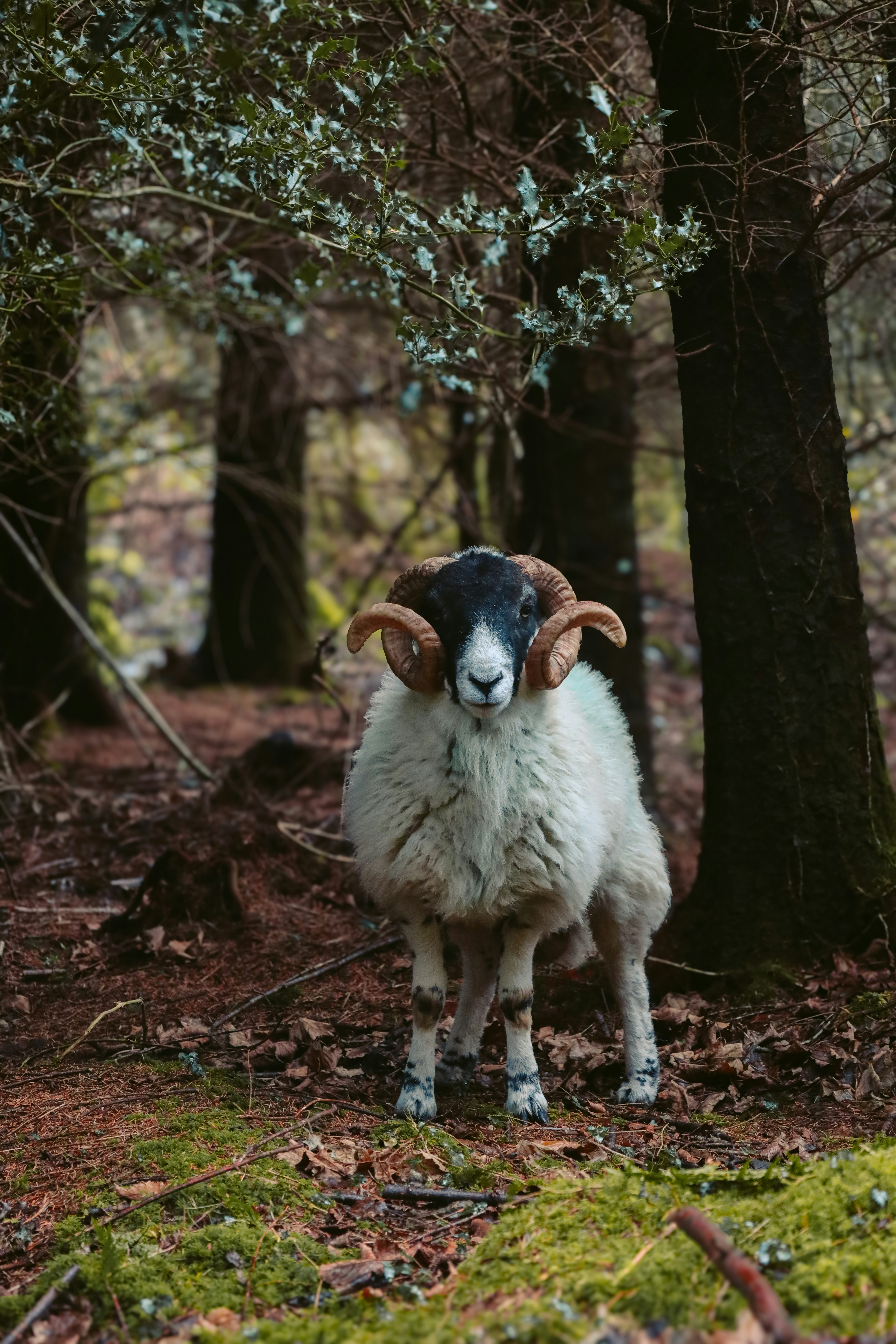 Photo by Ibrahim guetar with Canon EOS R