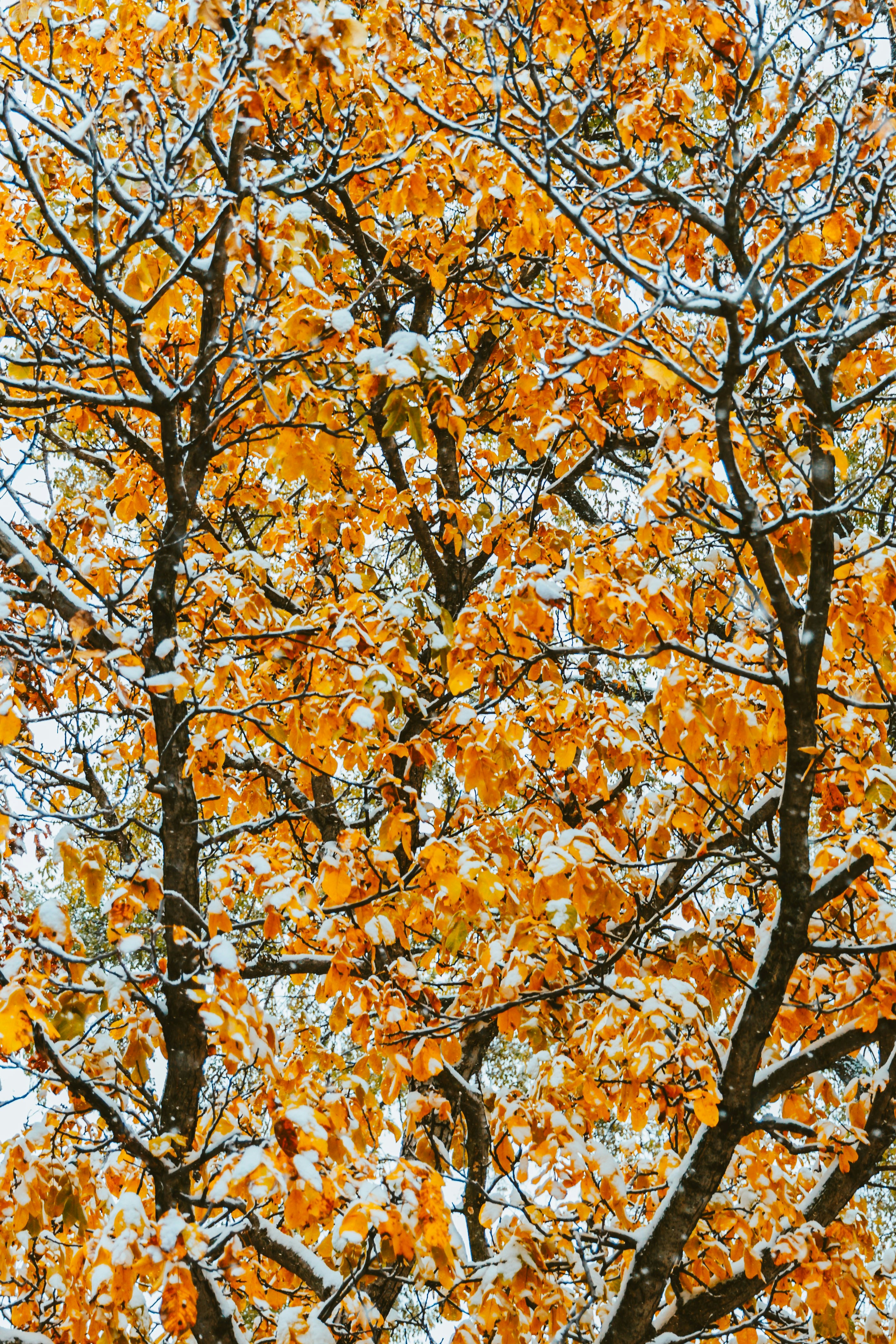 Photo by Green Yang with Canon EOS R