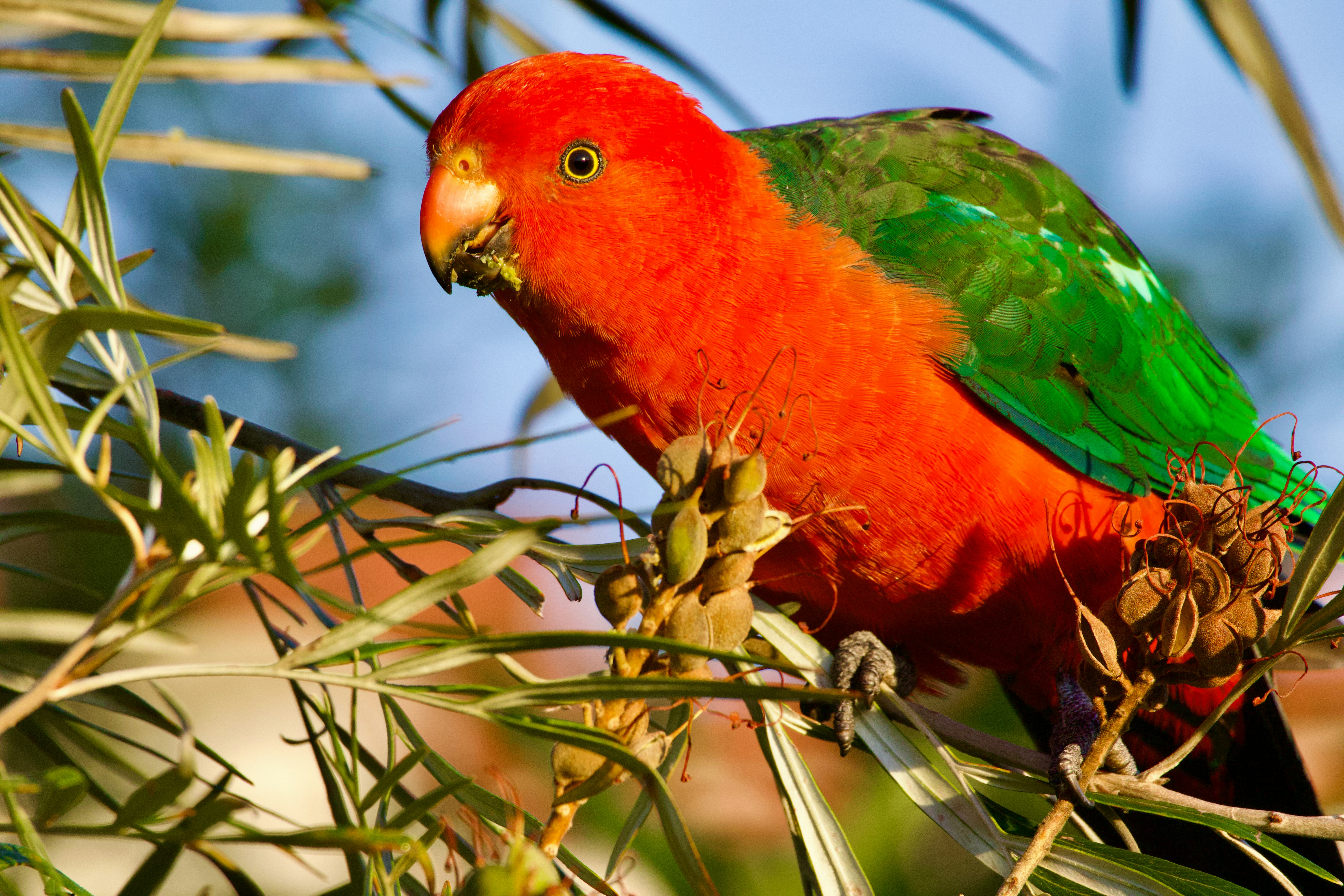 Photo by Jon Banks with Canon EOS R50