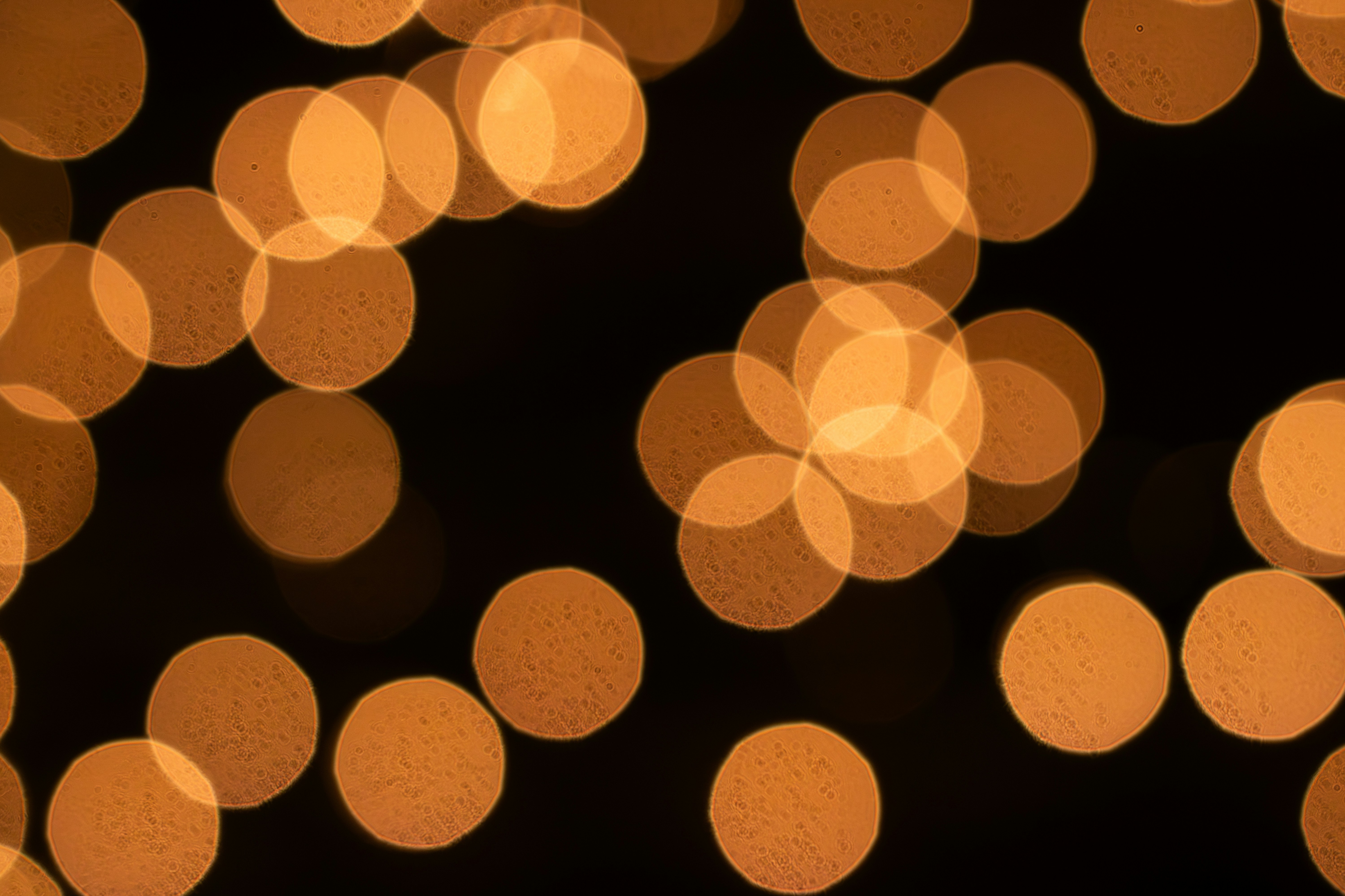 Dark background dotted with bokeh light textures