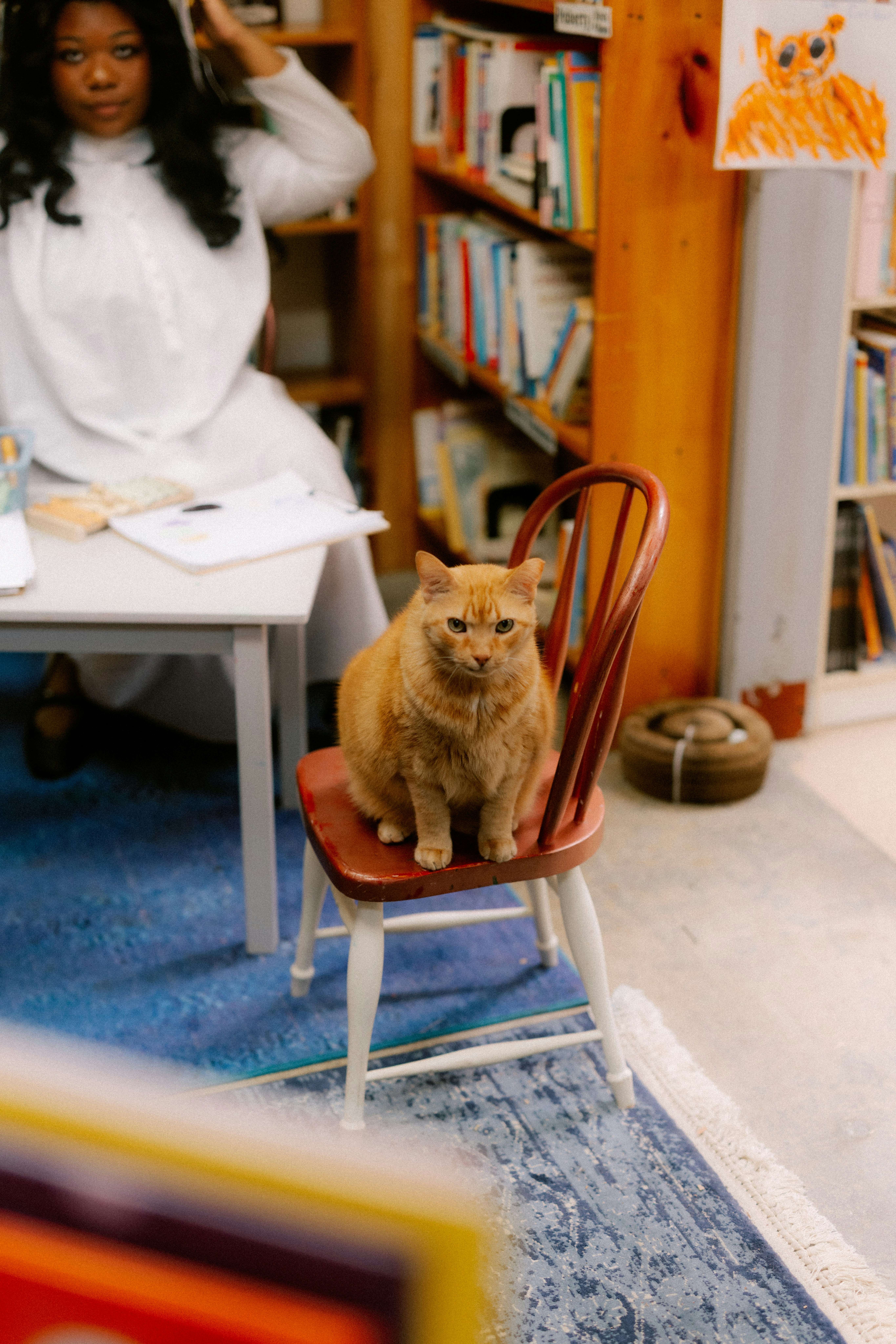 The Library's Quiet Companion: A Cat Guards the Desk Amid Books