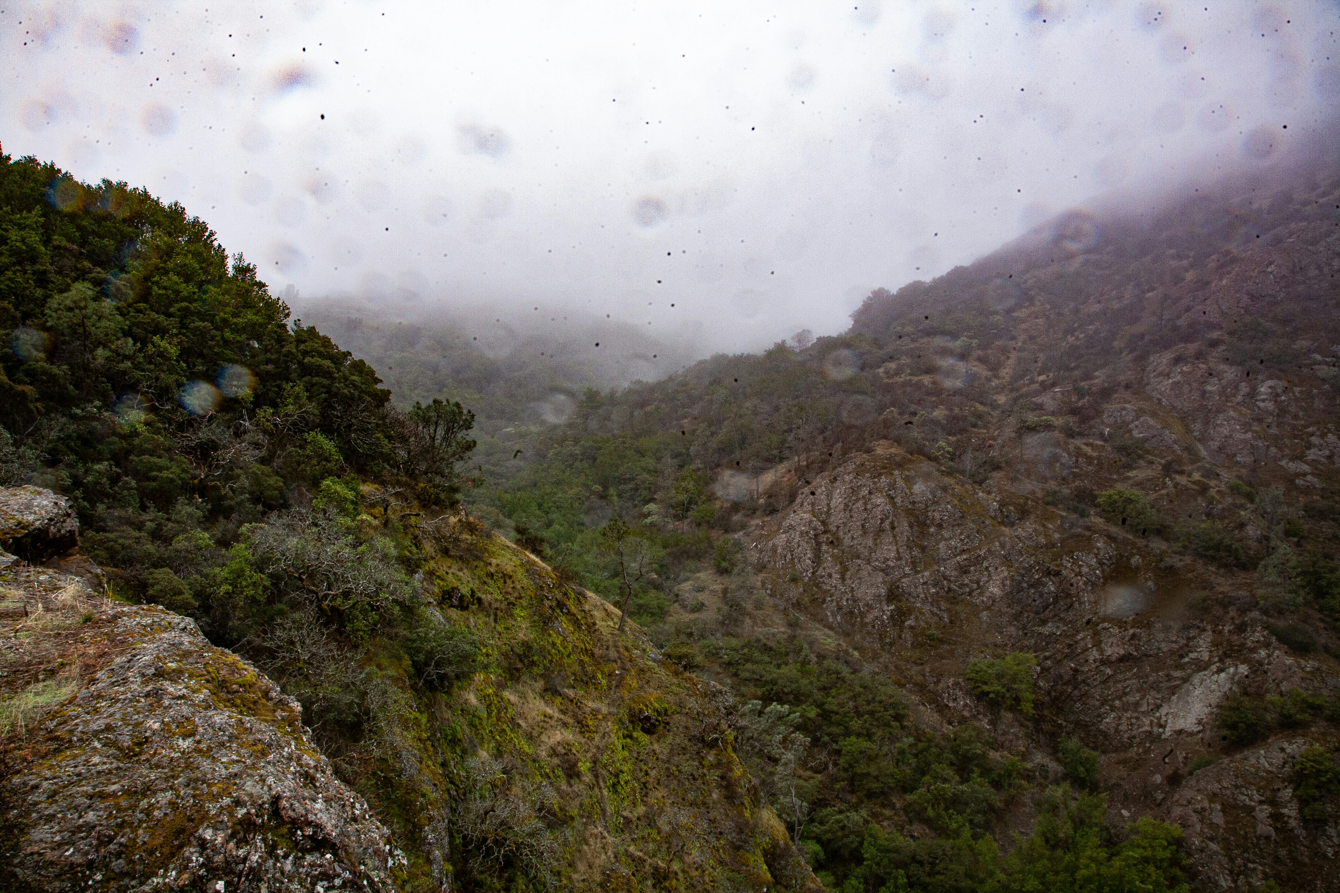 Misty Ridge Overlook Between Moss-Capped Cliffs