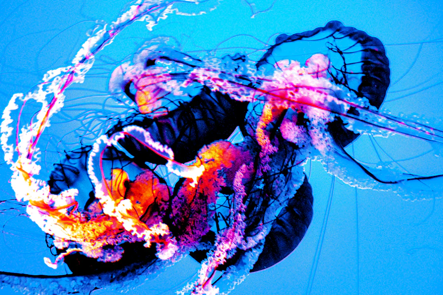 Neon-colored jellyfish trails swirl against a deep blue backdrop, capturing motion and bioluminescent textures in a dynamic underwater scene.