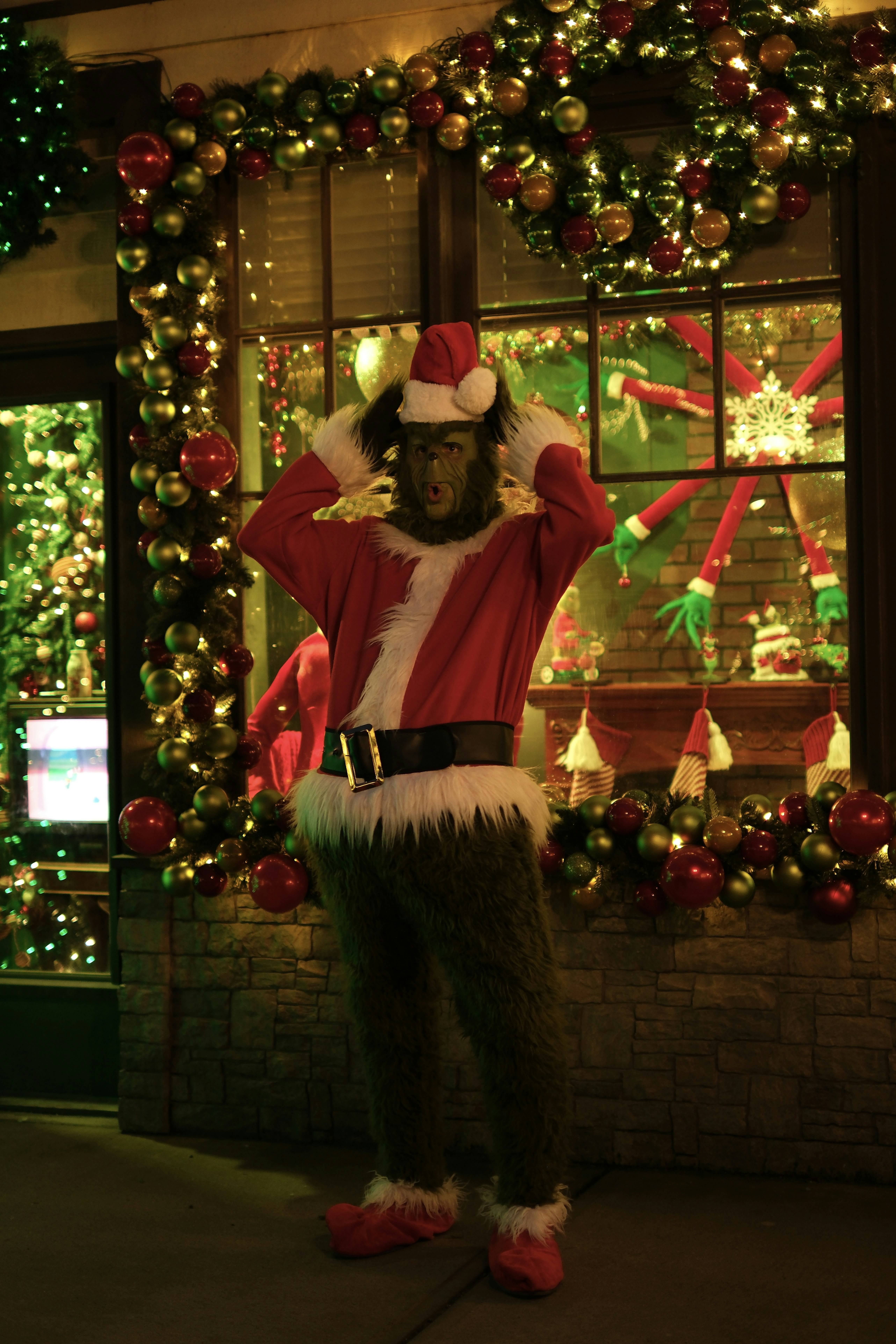 Santa Jungle: Gorilla in a Red Suit Poses Before Wrapped Holiday Window Display