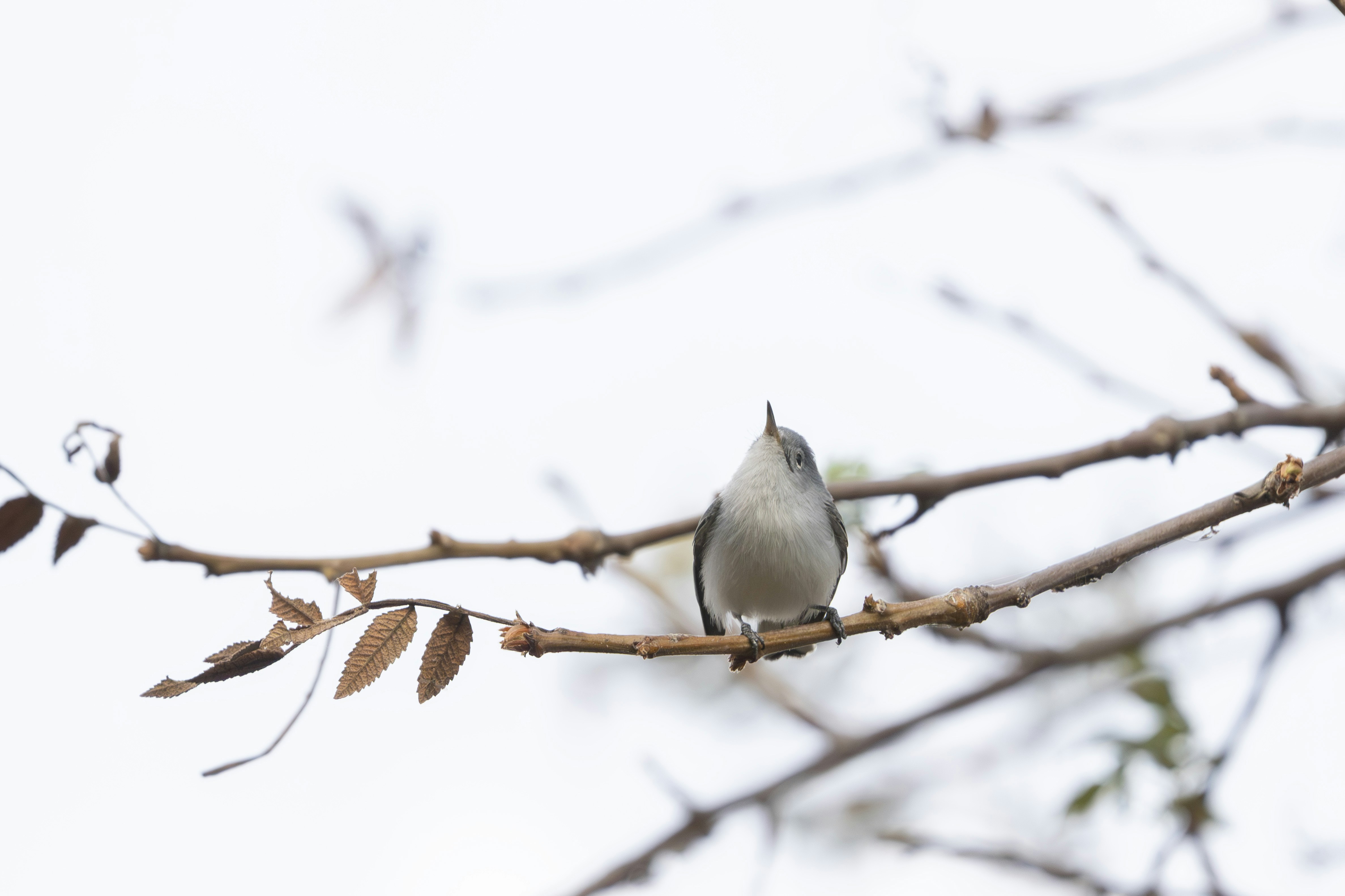 Photo by Alfonso Betancourt with Canon EOS R