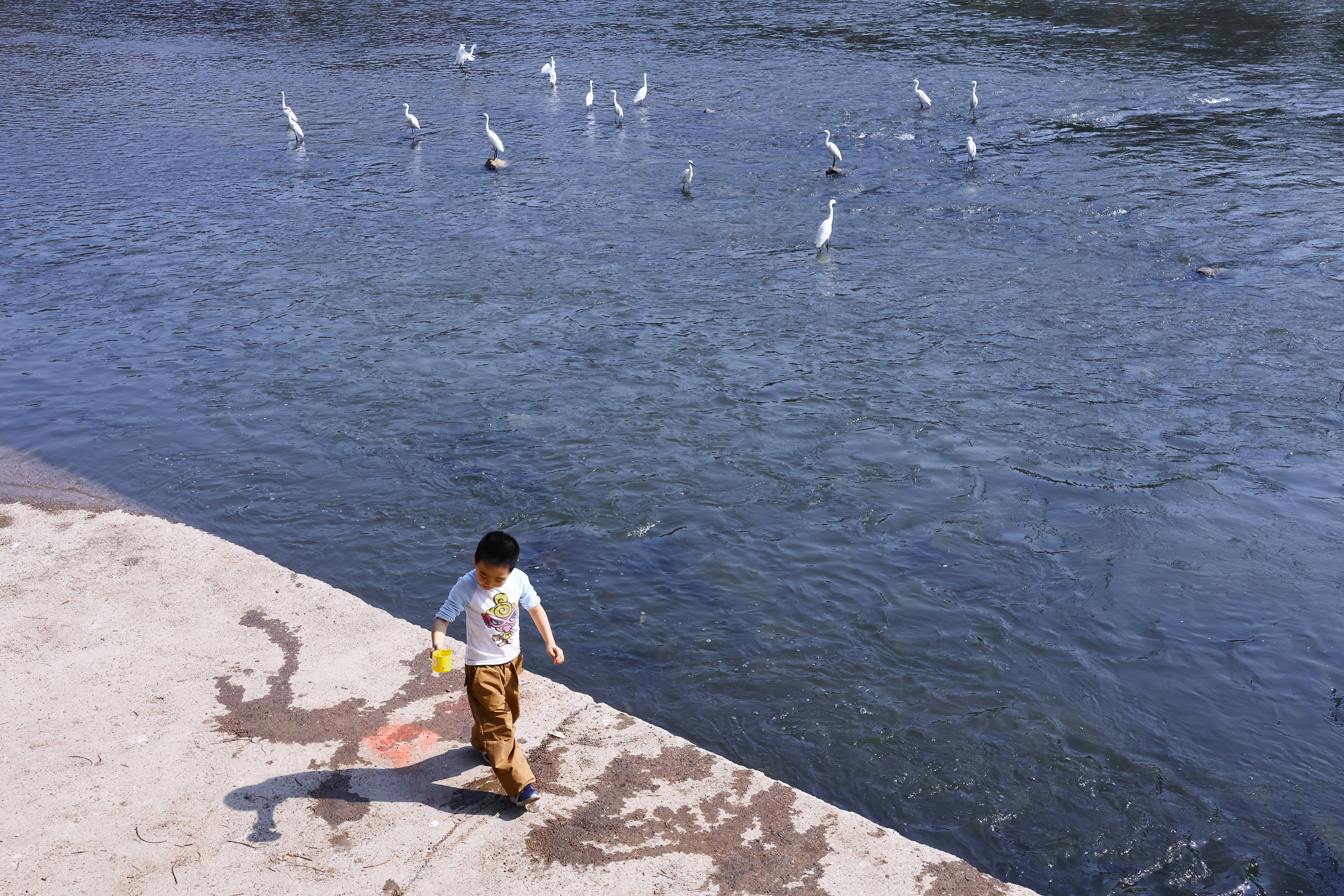 Child at the Water's Edge: A Quiet Morning by the River