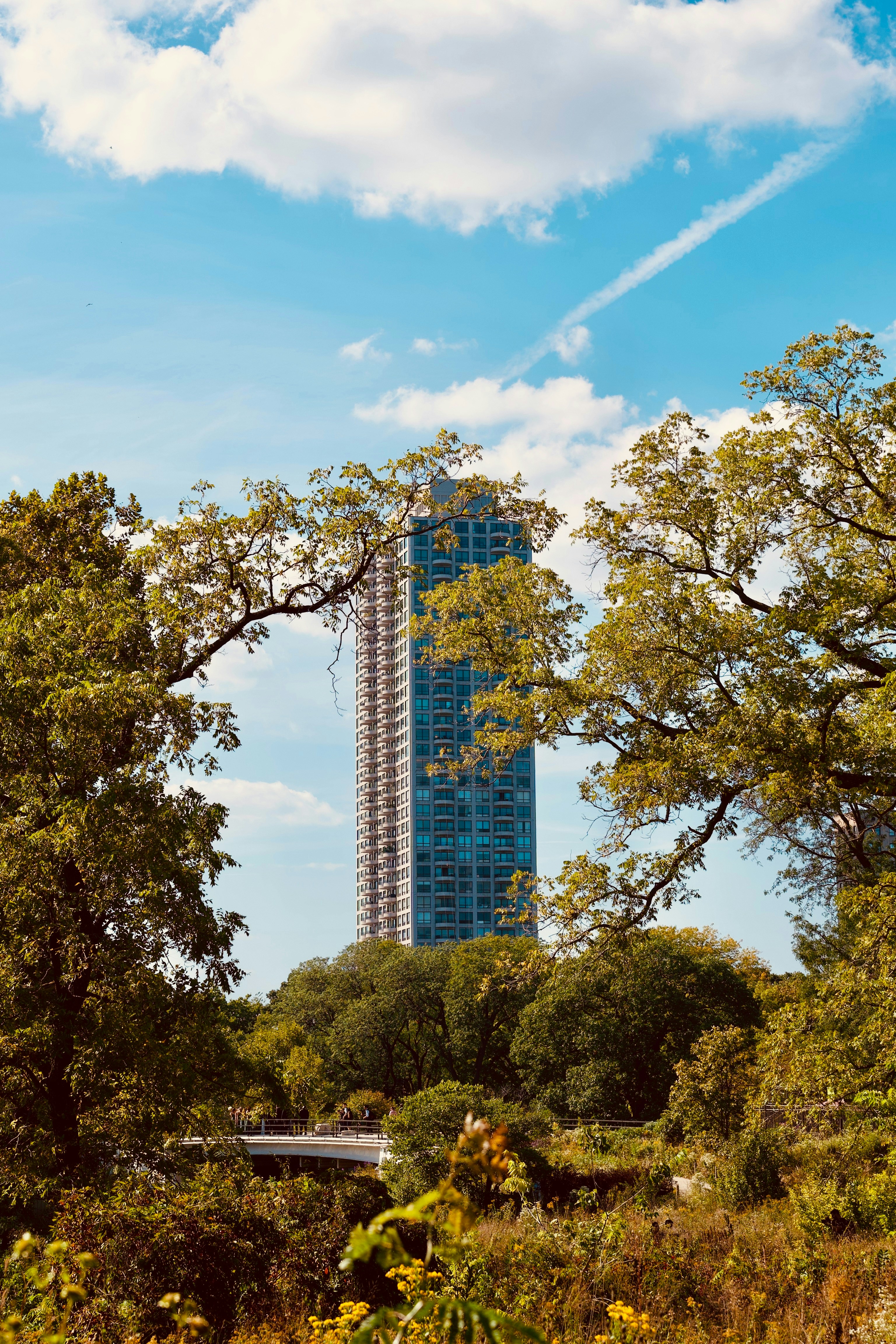 Photo by Raja Patel with Sony Alpha 7C II