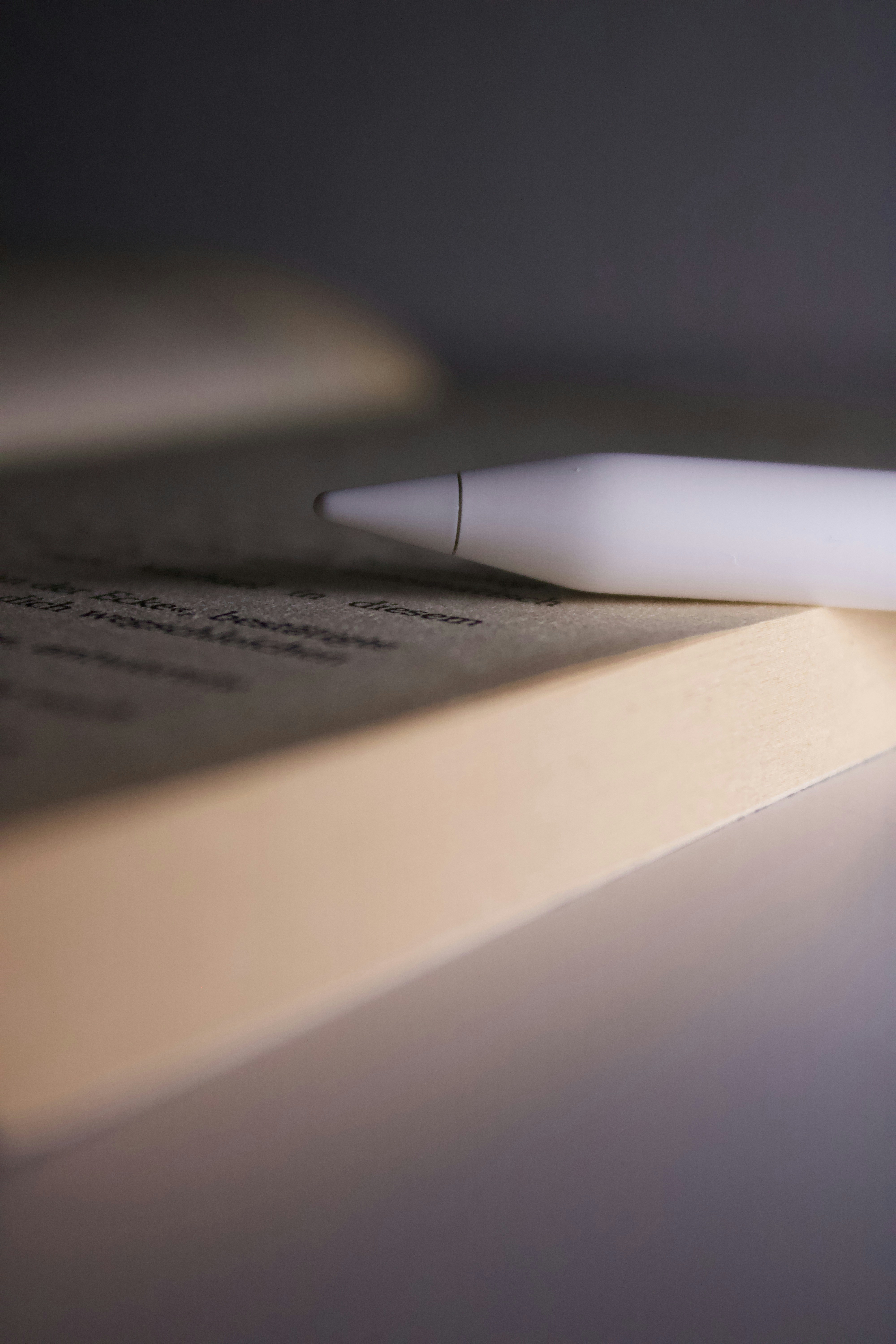 Photo by byVlado with Canon EOS 2000D