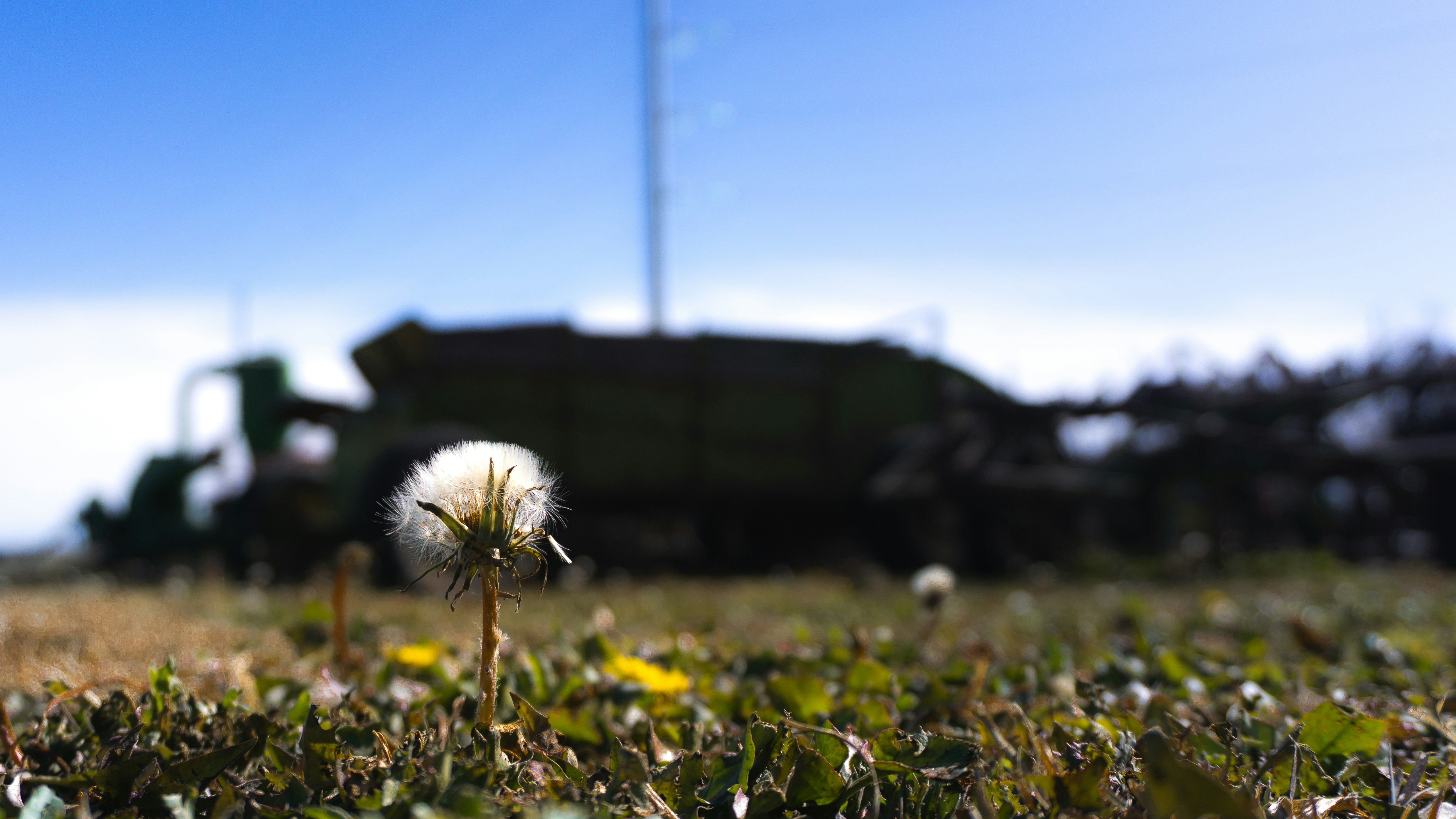 Photo by Braulio Gómez with Sony Alpha 6000