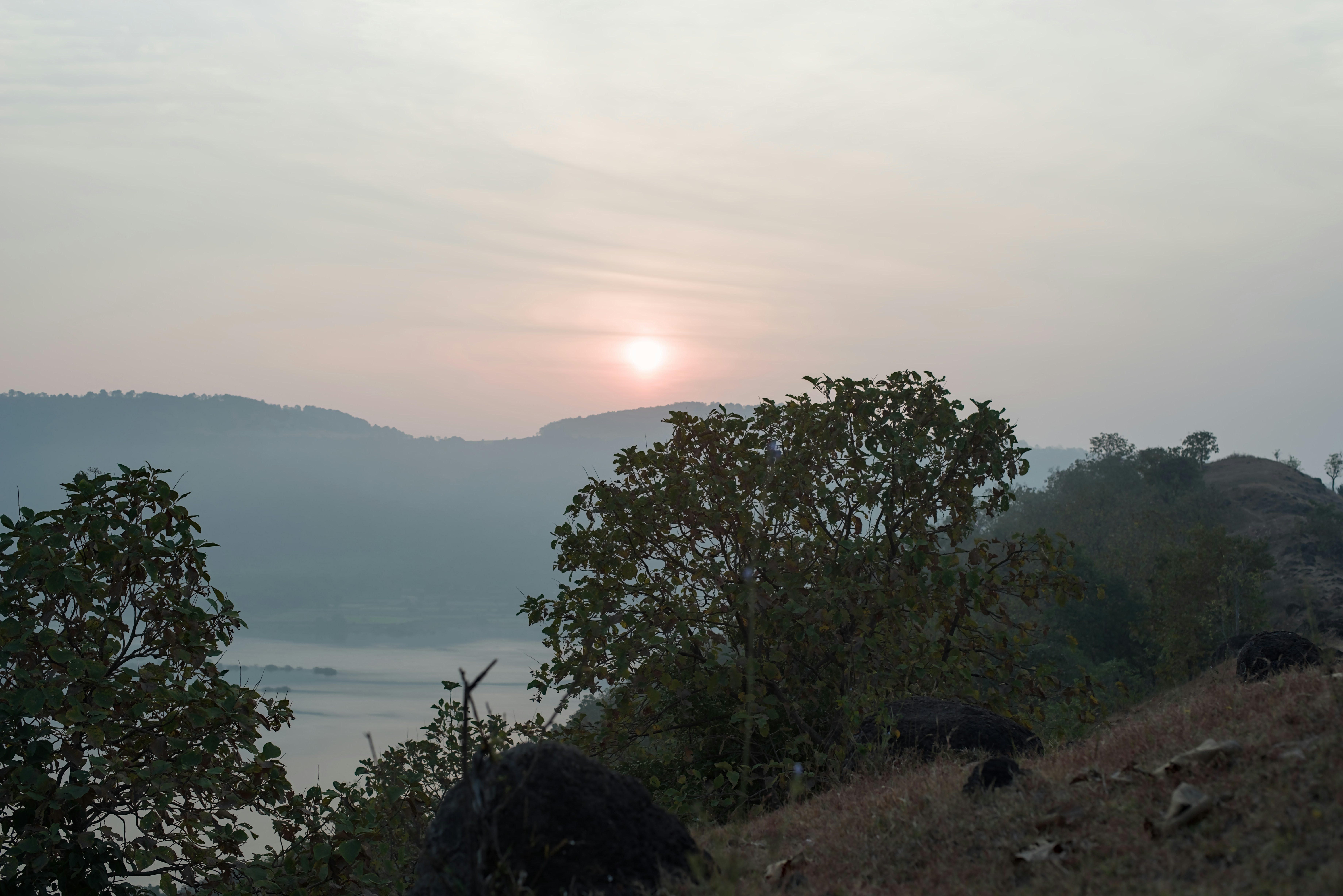 Photo by Satish Dharmavarapu with Pentax K-1 Mark II