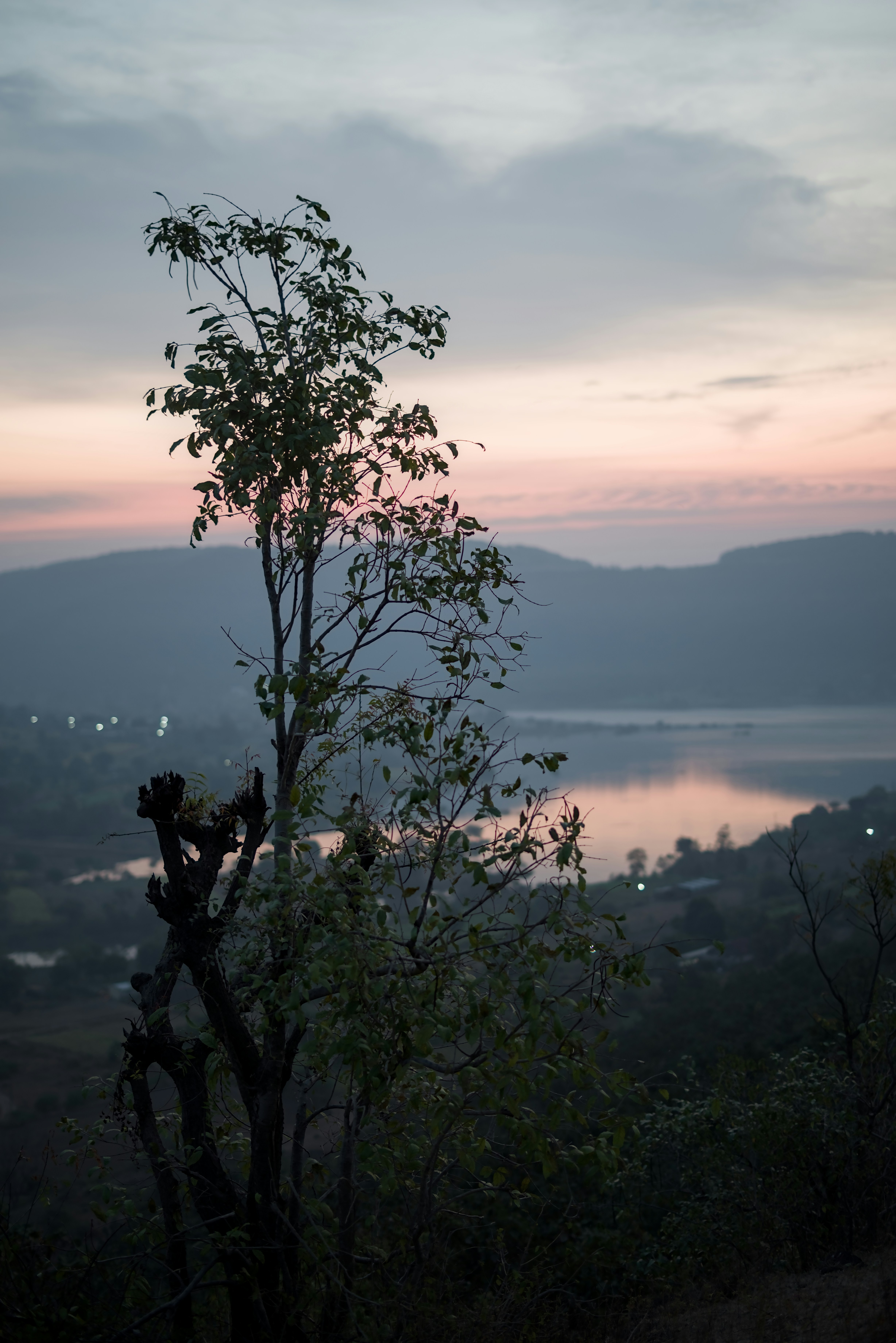 Photo by Satish Dharmavarapu with Pentax K-1 Mark II