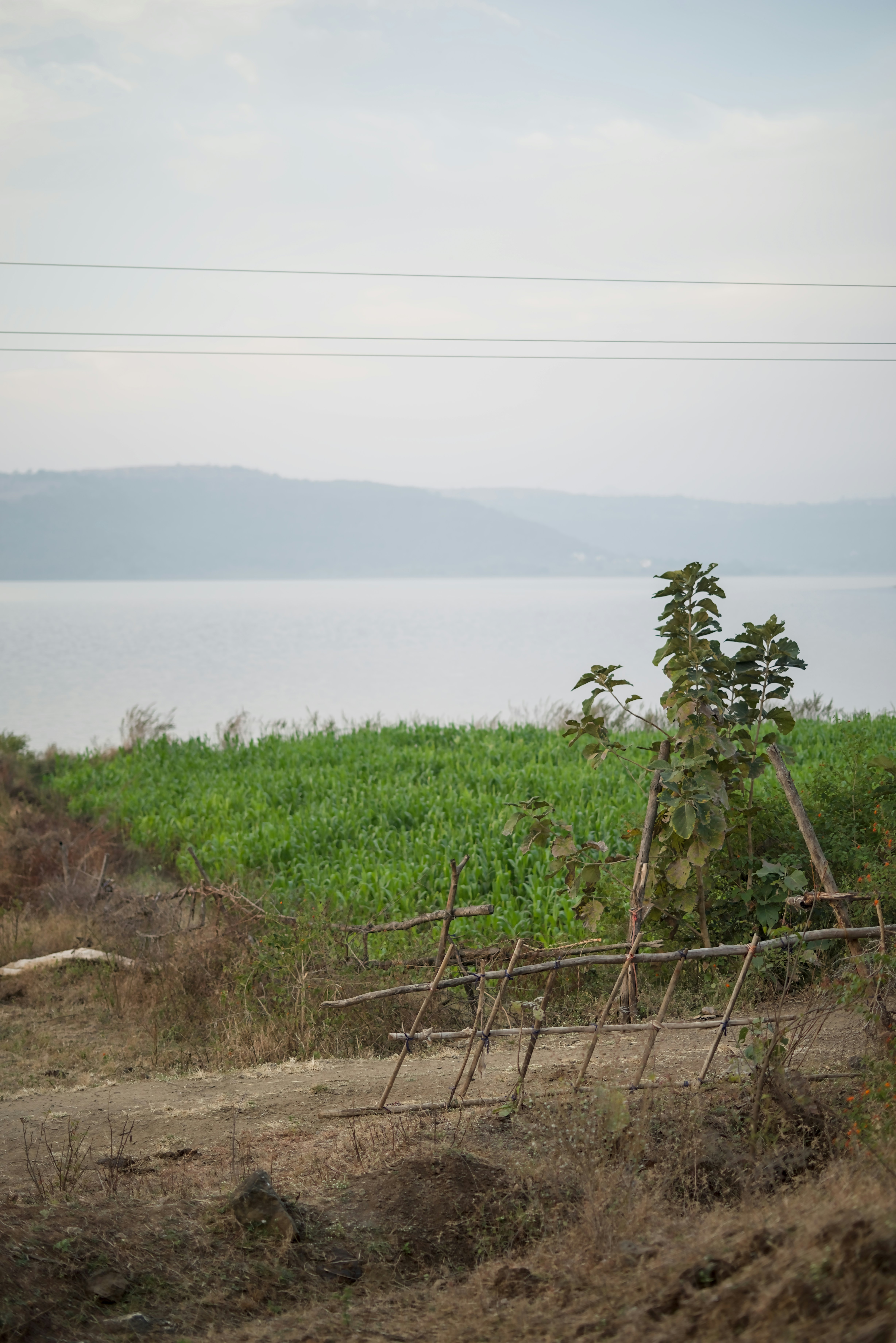 Photo by Satish Dharmavarapu with Pentax K-1 Mark II