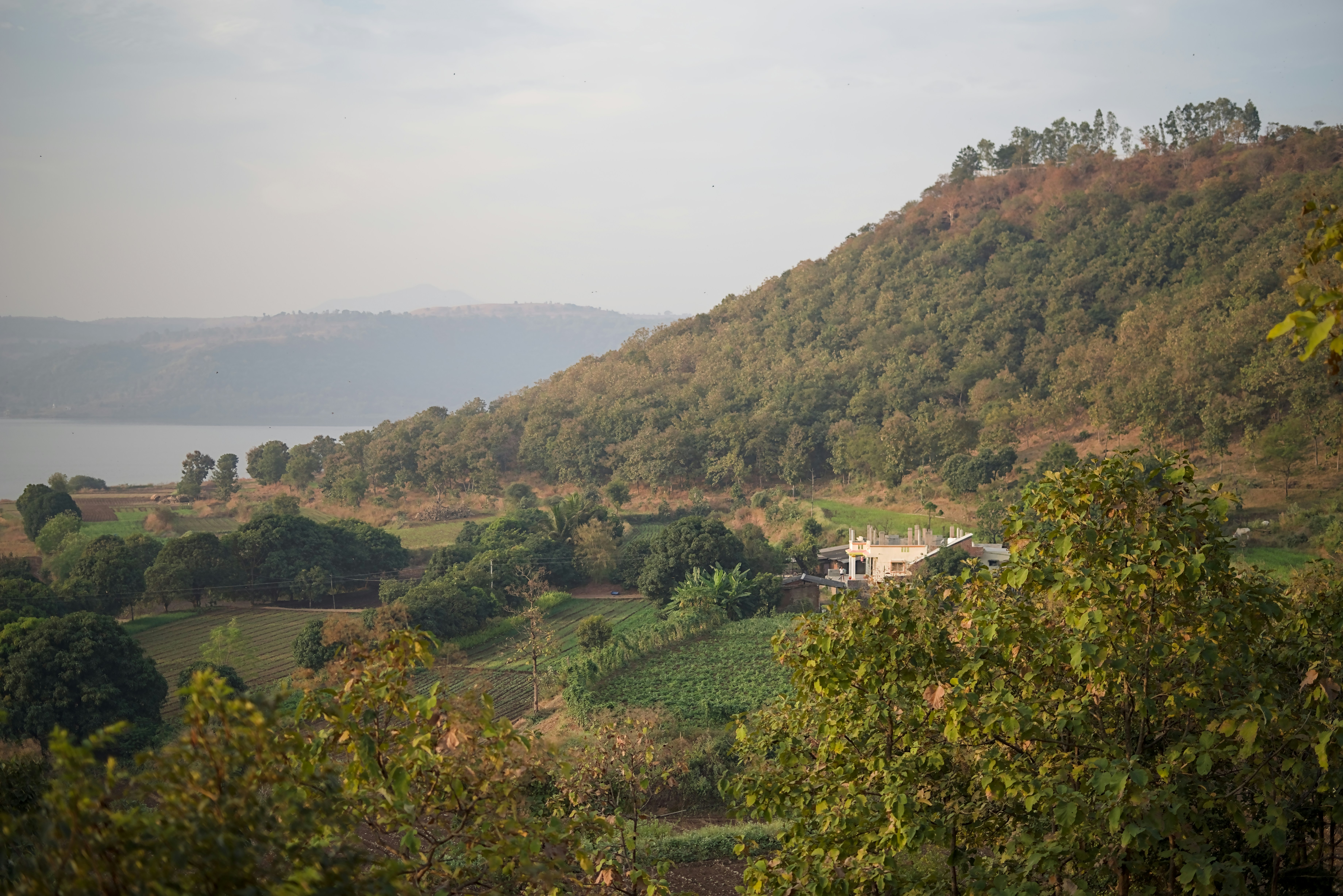 Sample photo from Pentax K-1 Mark II