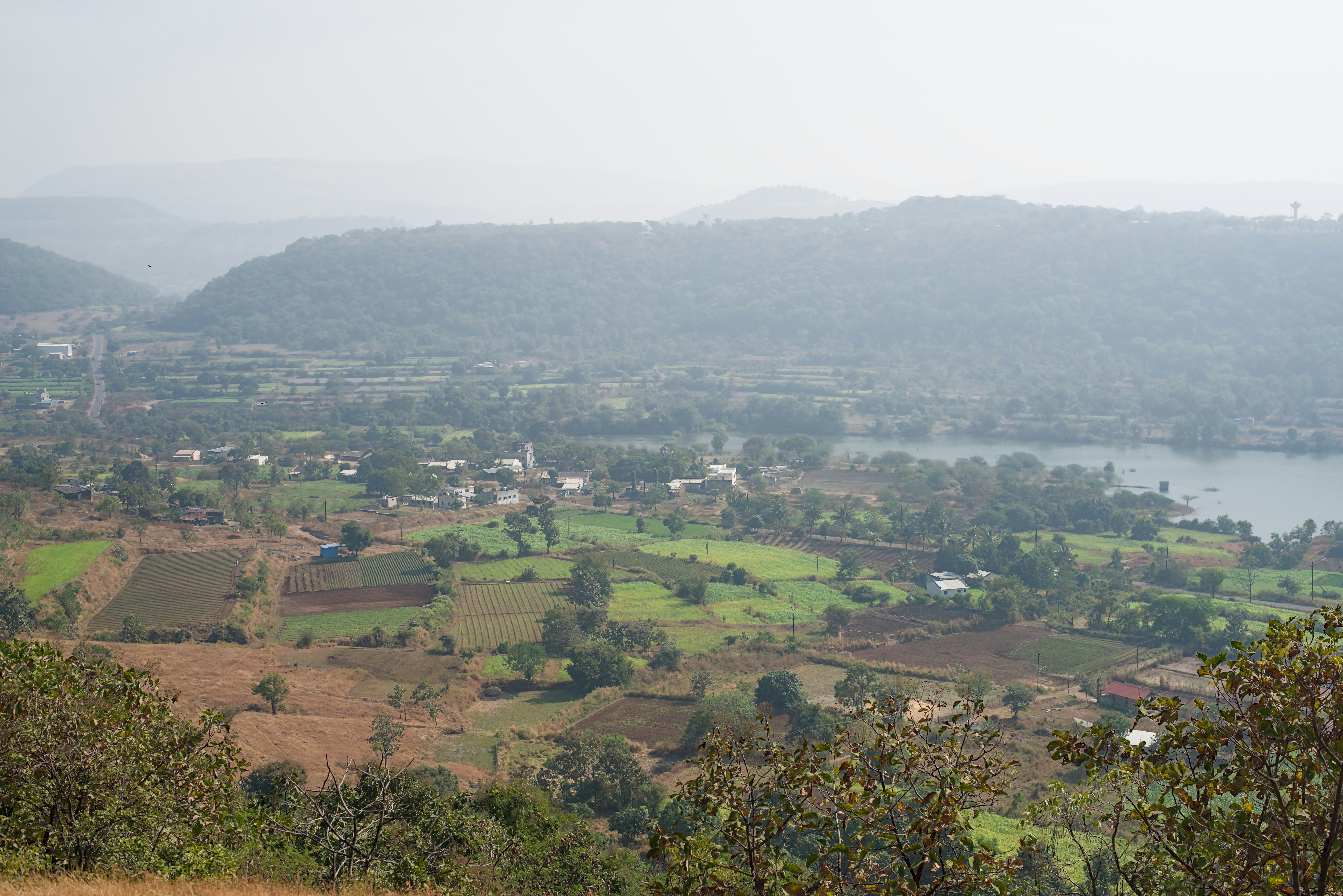 Photo by Satish Dharmavarapu with Pentax K-1 Mark II