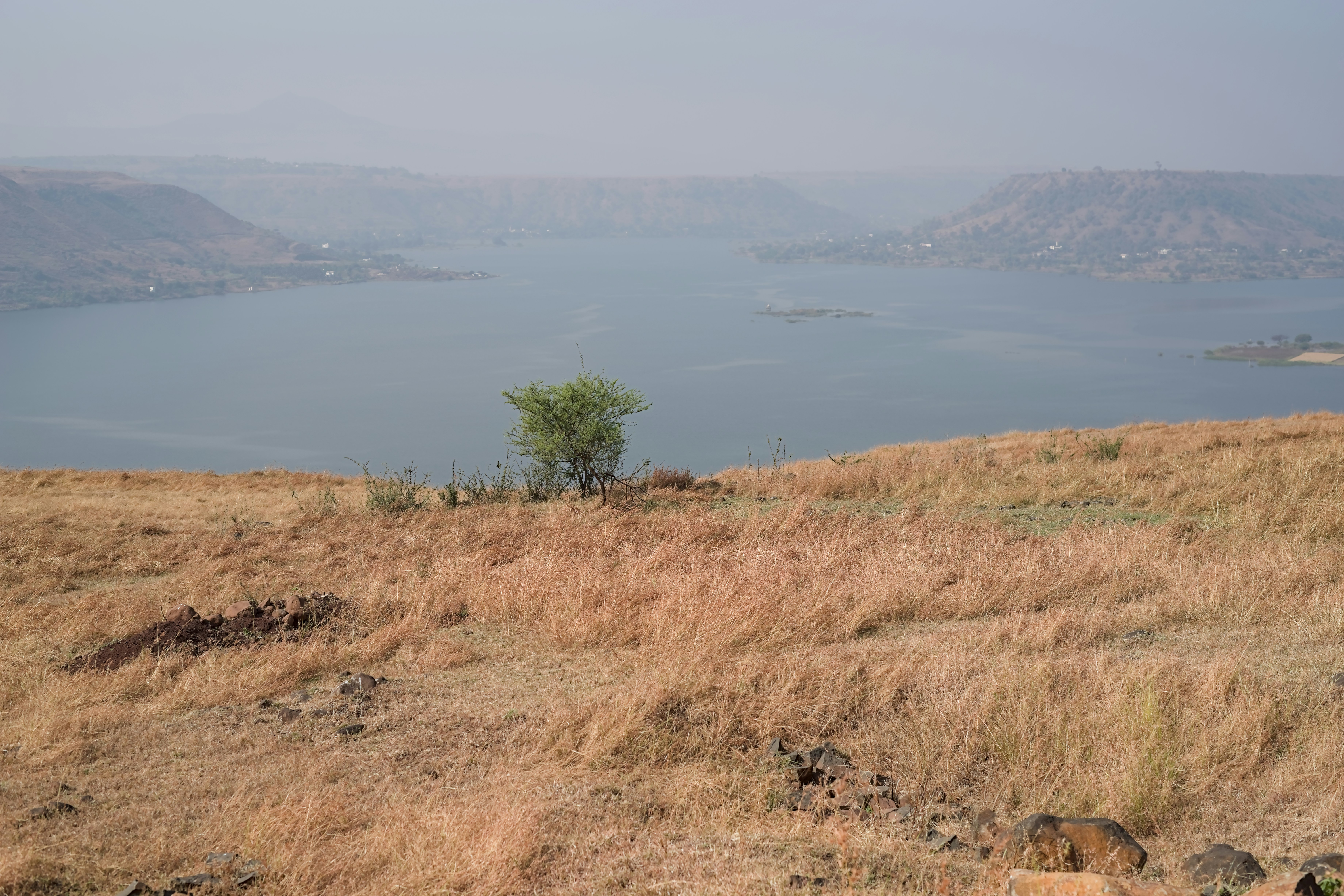 Photo by Satish Dharmavarapu with Pentax K-1 Mark II