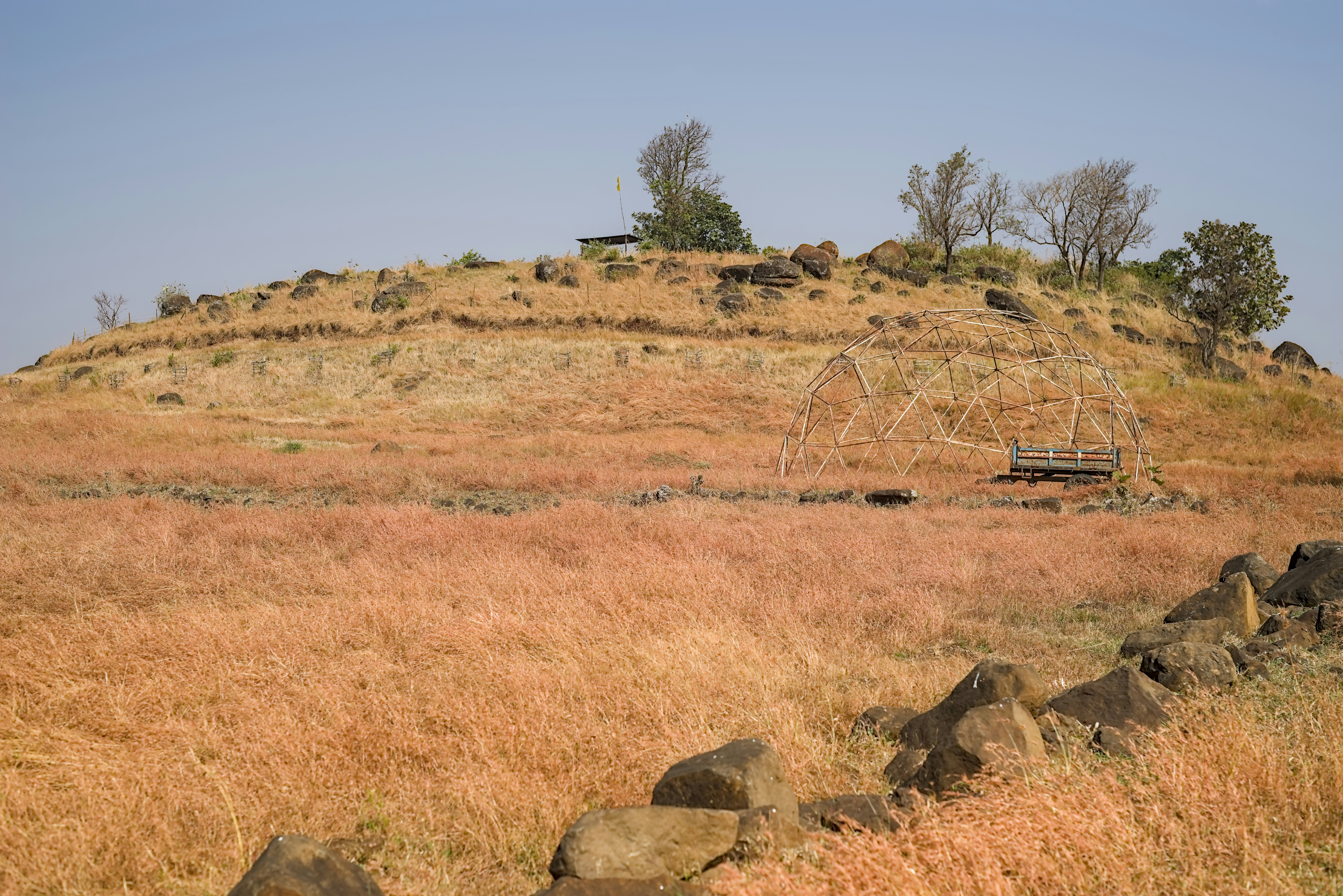 Photo by Satish Dharmavarapu with Pentax K-1 Mark II