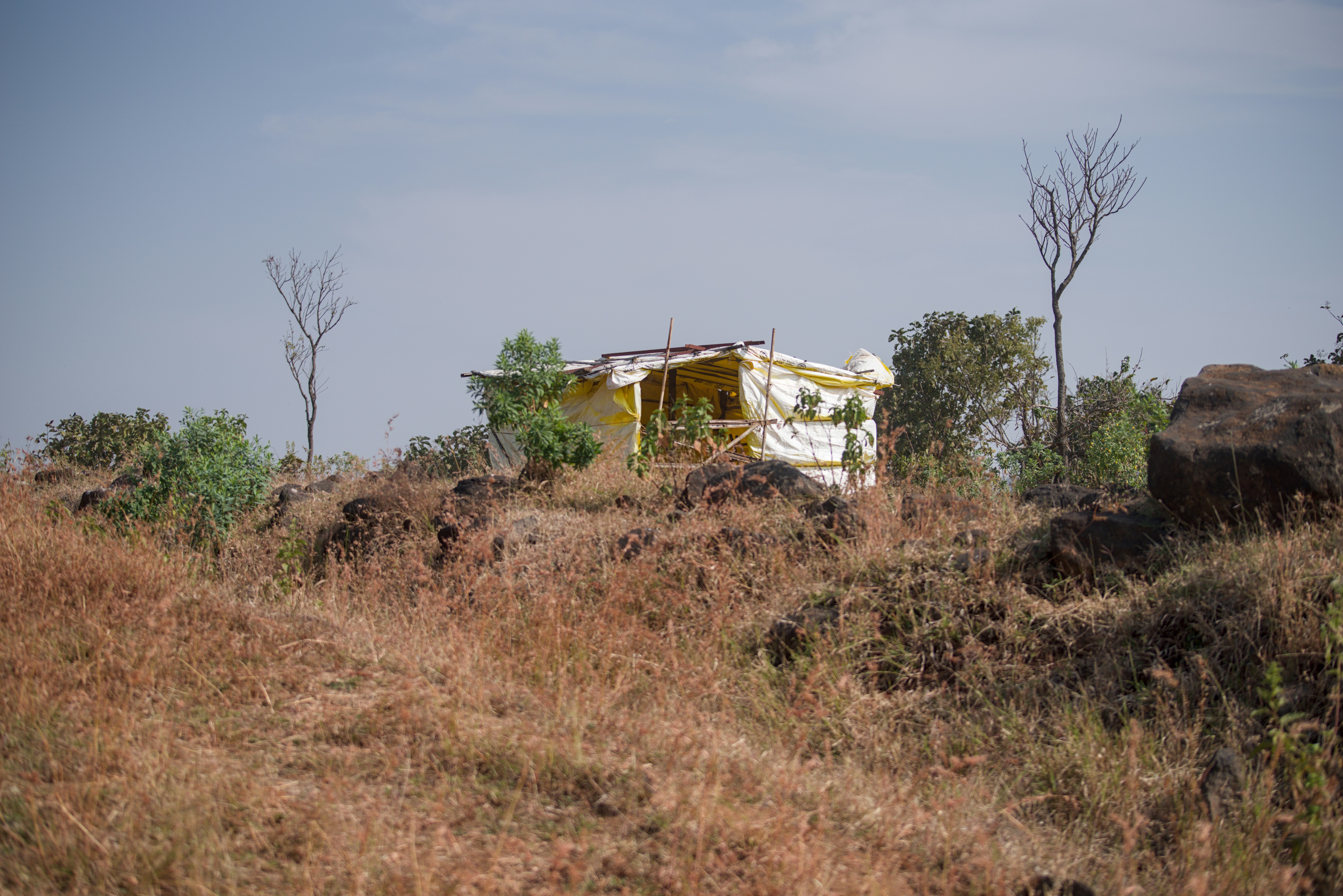 Photo by Satish Dharmavarapu with Pentax K-1 Mark II