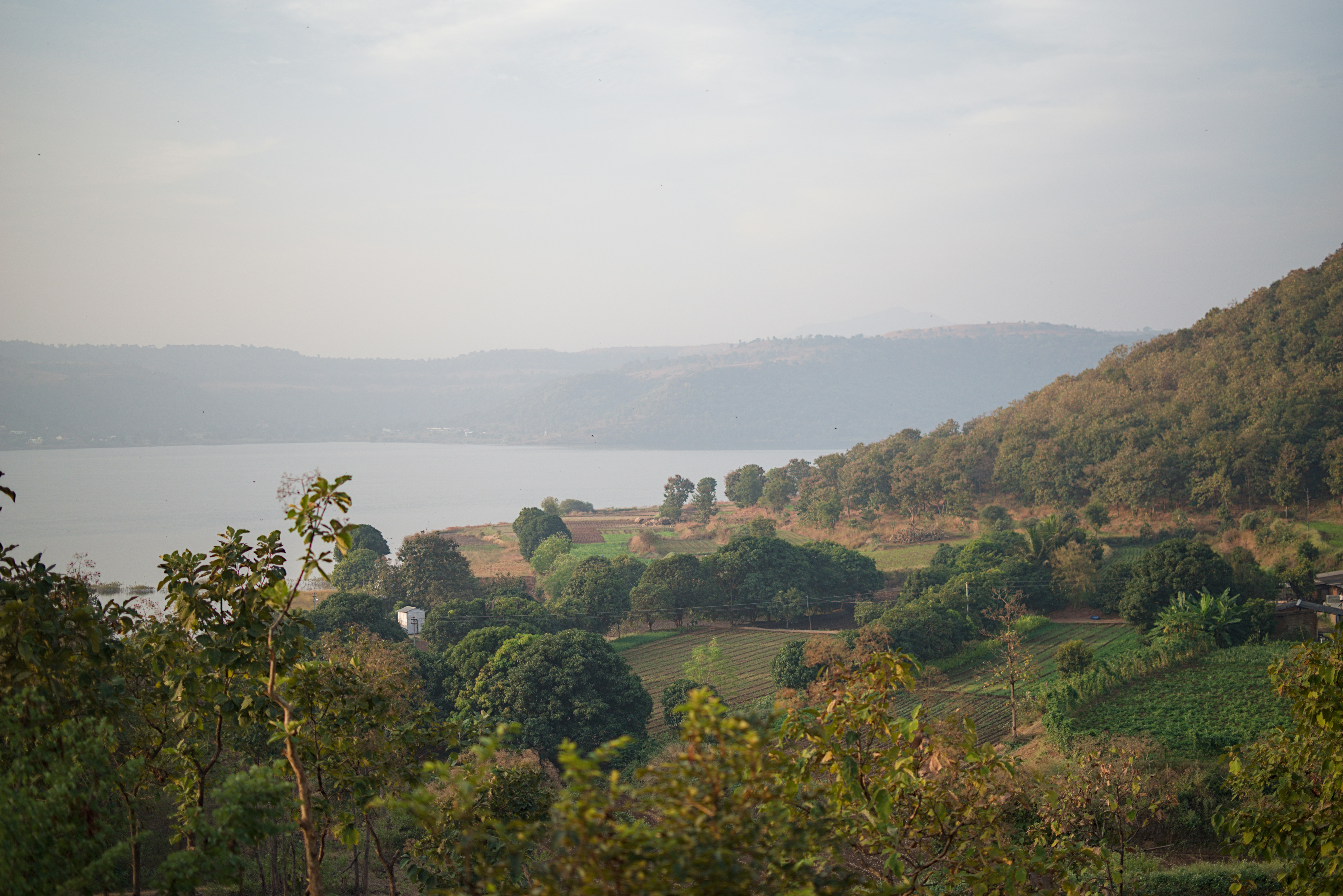 Photo by Satish Dharmavarapu with Pentax K-1 Mark II