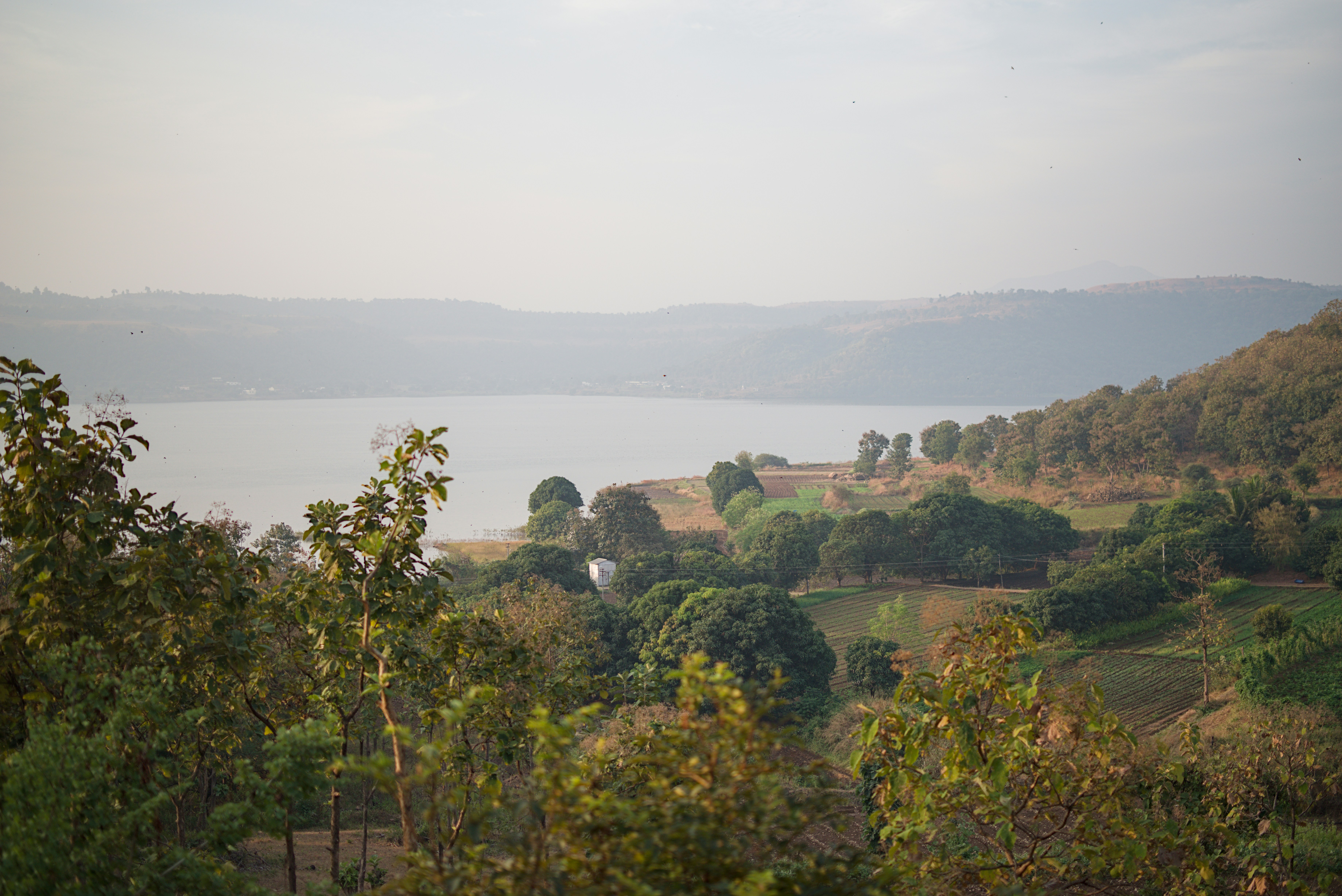 Photo by Satish Dharmavarapu with Pentax K-1 Mark II