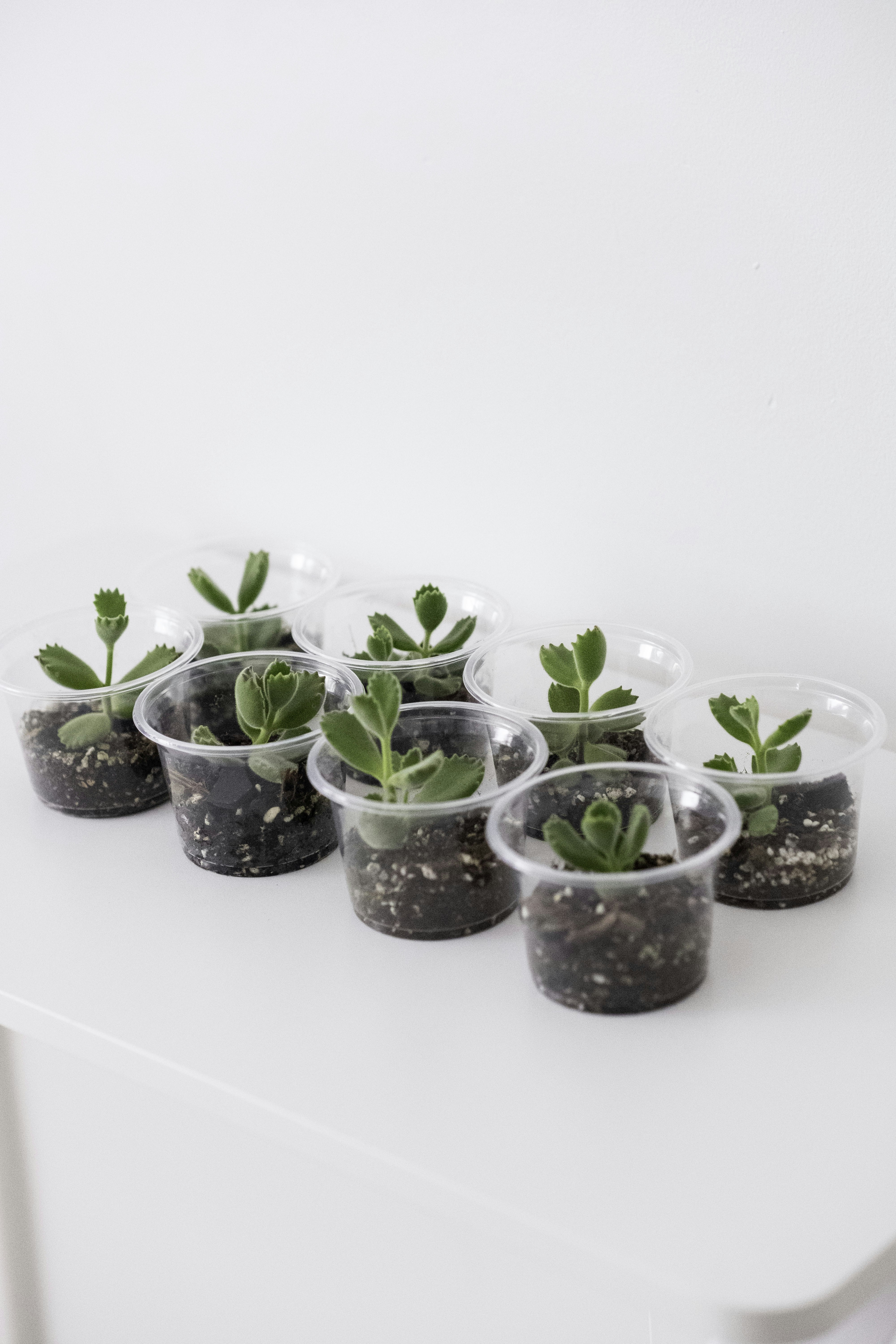 Photo by Anna Manson with Fujifilm X-T2