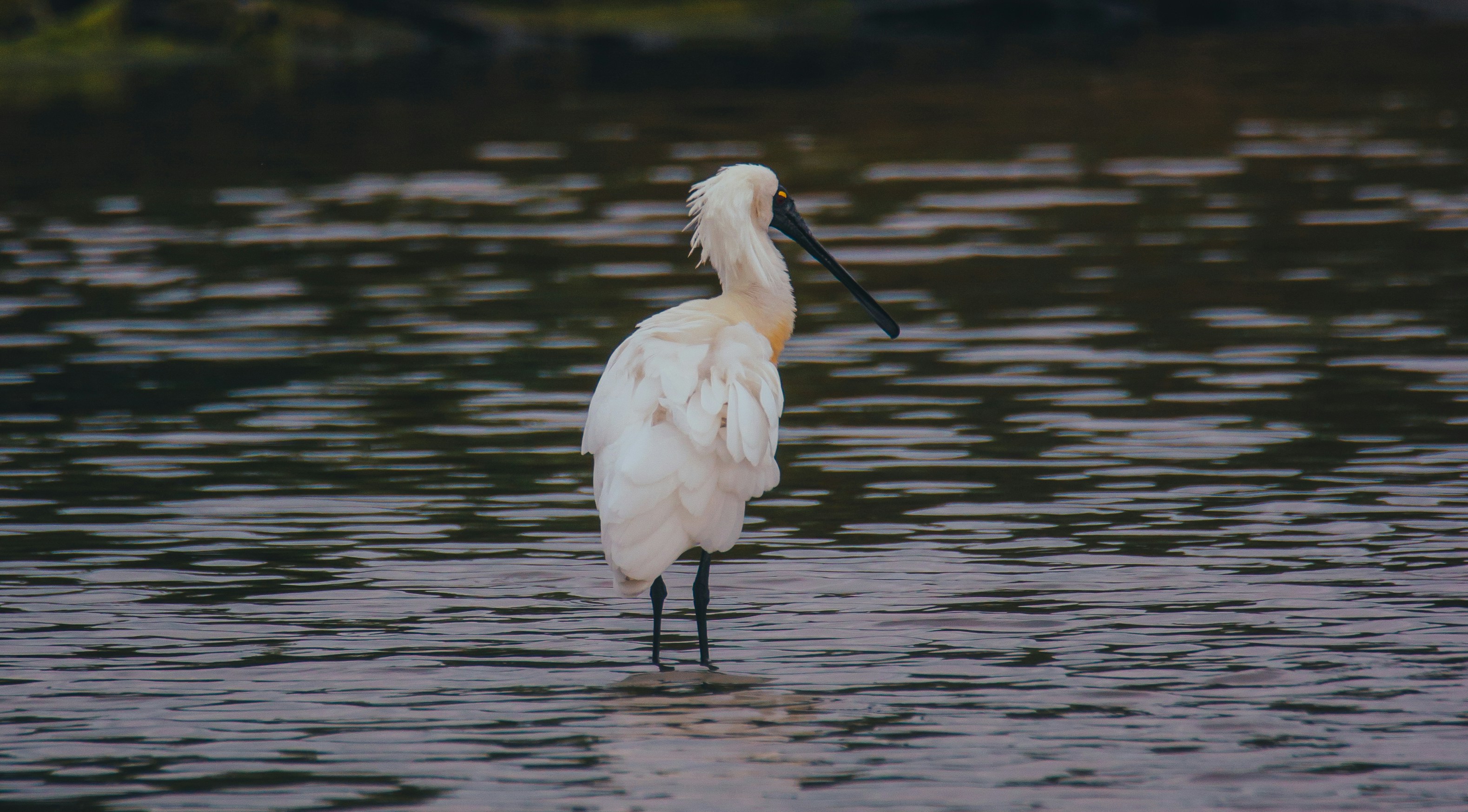 Photo by Katelyn G with Canon EOS 550D