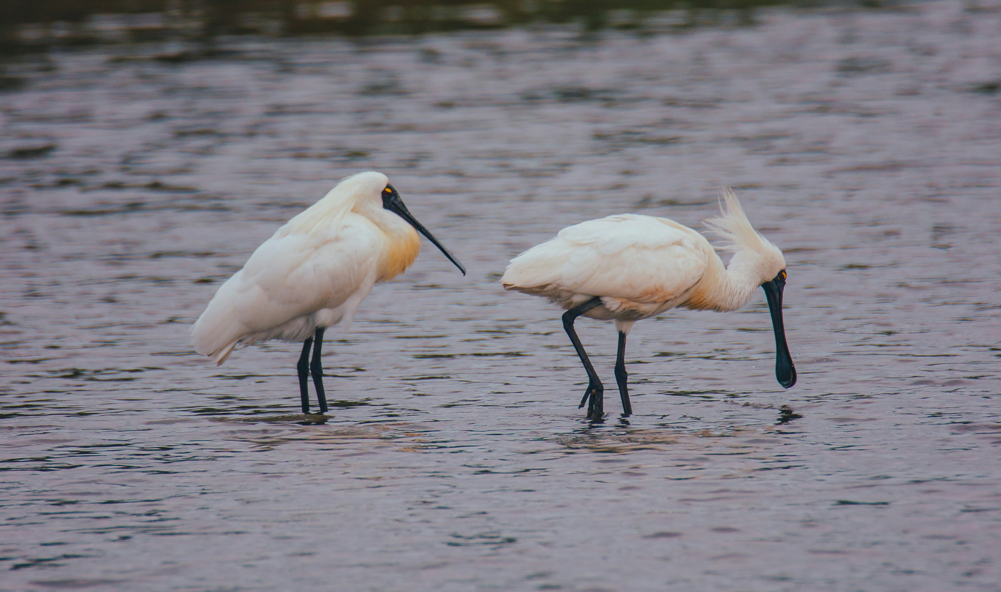 Photo by Katelyn G with Canon EOS 550D