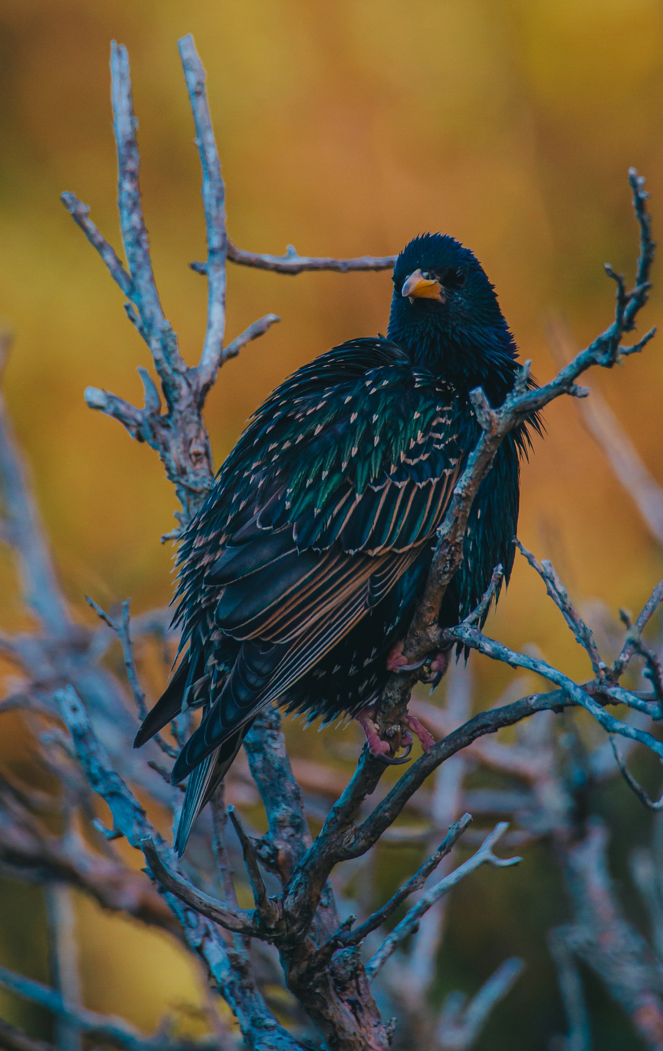 Photo by Katelyn G with Canon EOS 550D