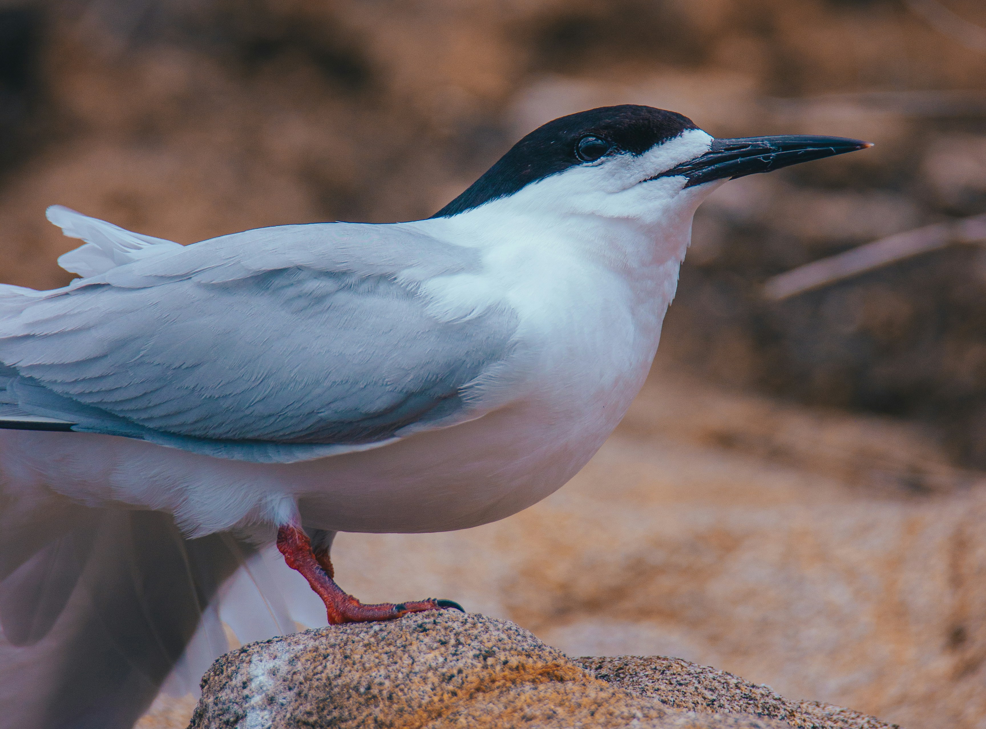 Photo by Katelyn G with Canon EOS 550D