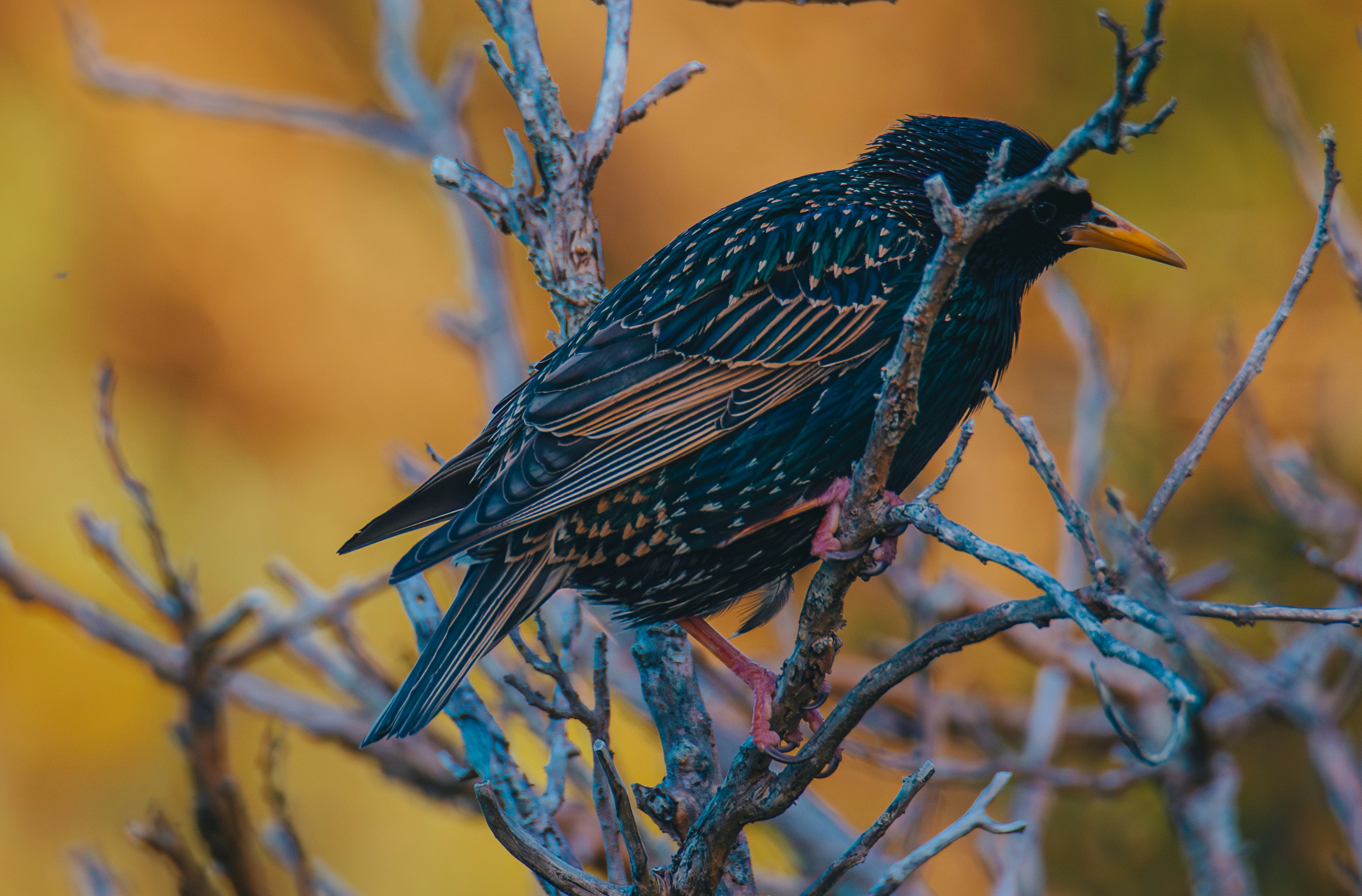 Photo by Katelyn G with Canon EOS 550D