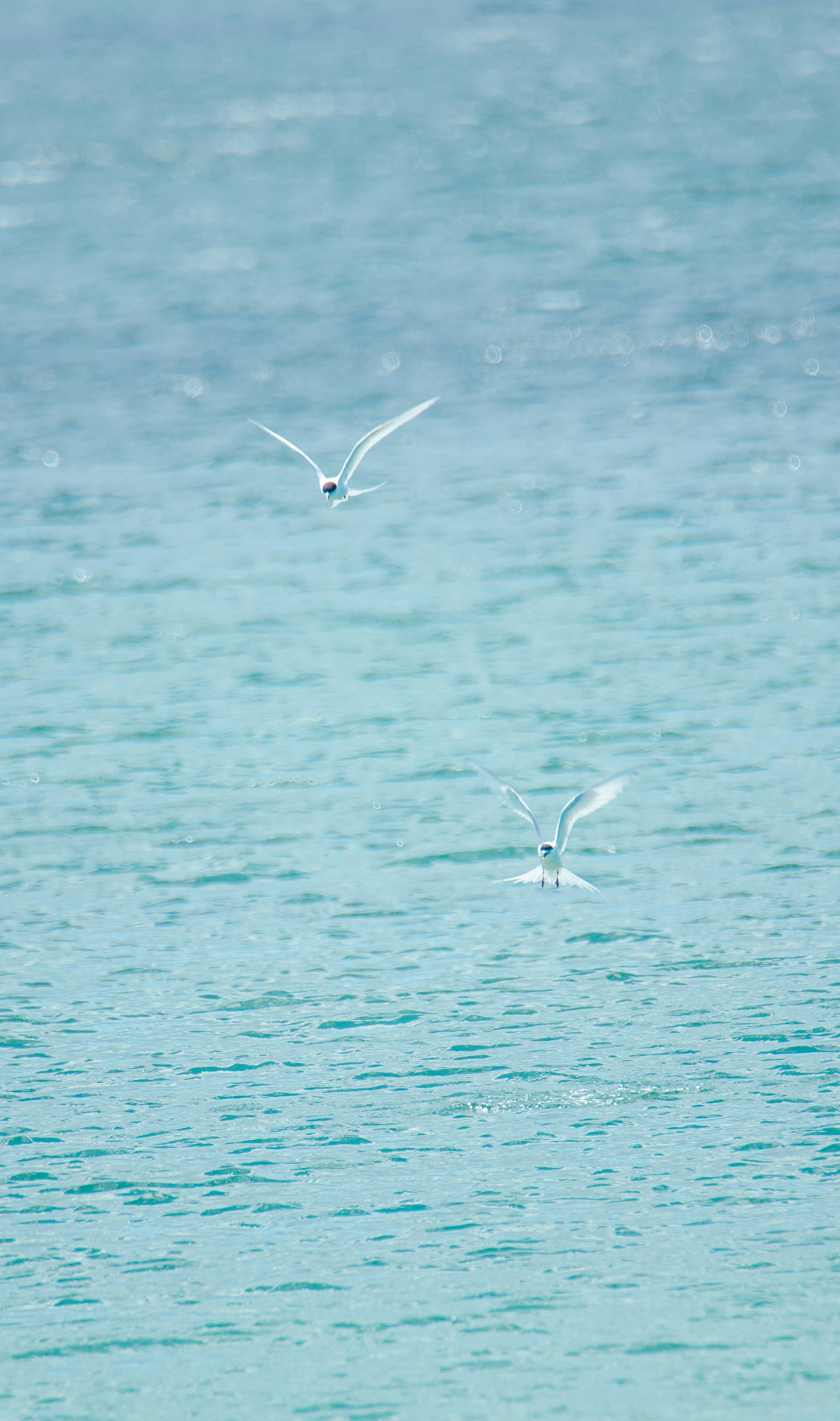 Photo by Katelyn G with Canon EOS 550D