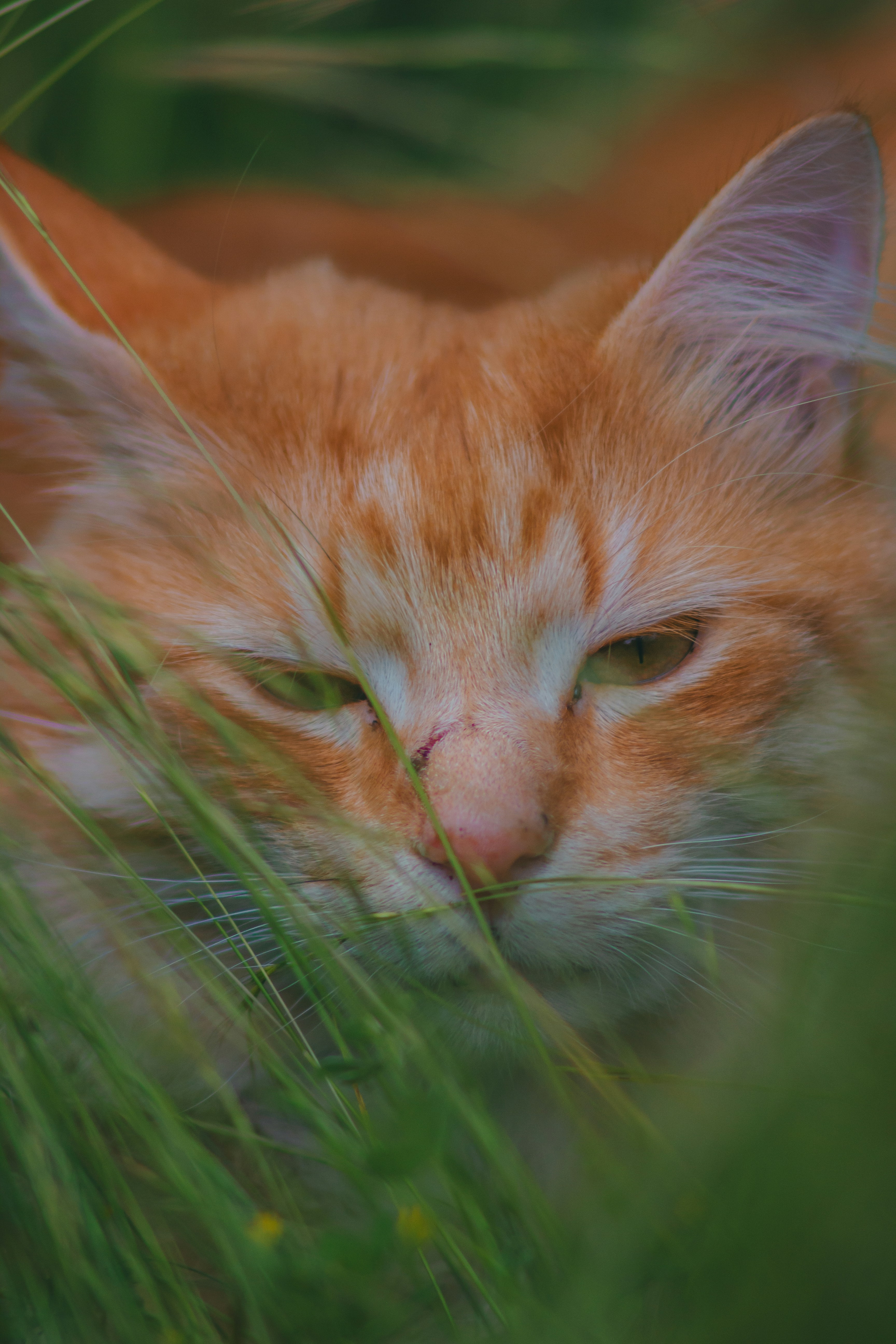 Photo by Katelyn G with Canon EOS 550D