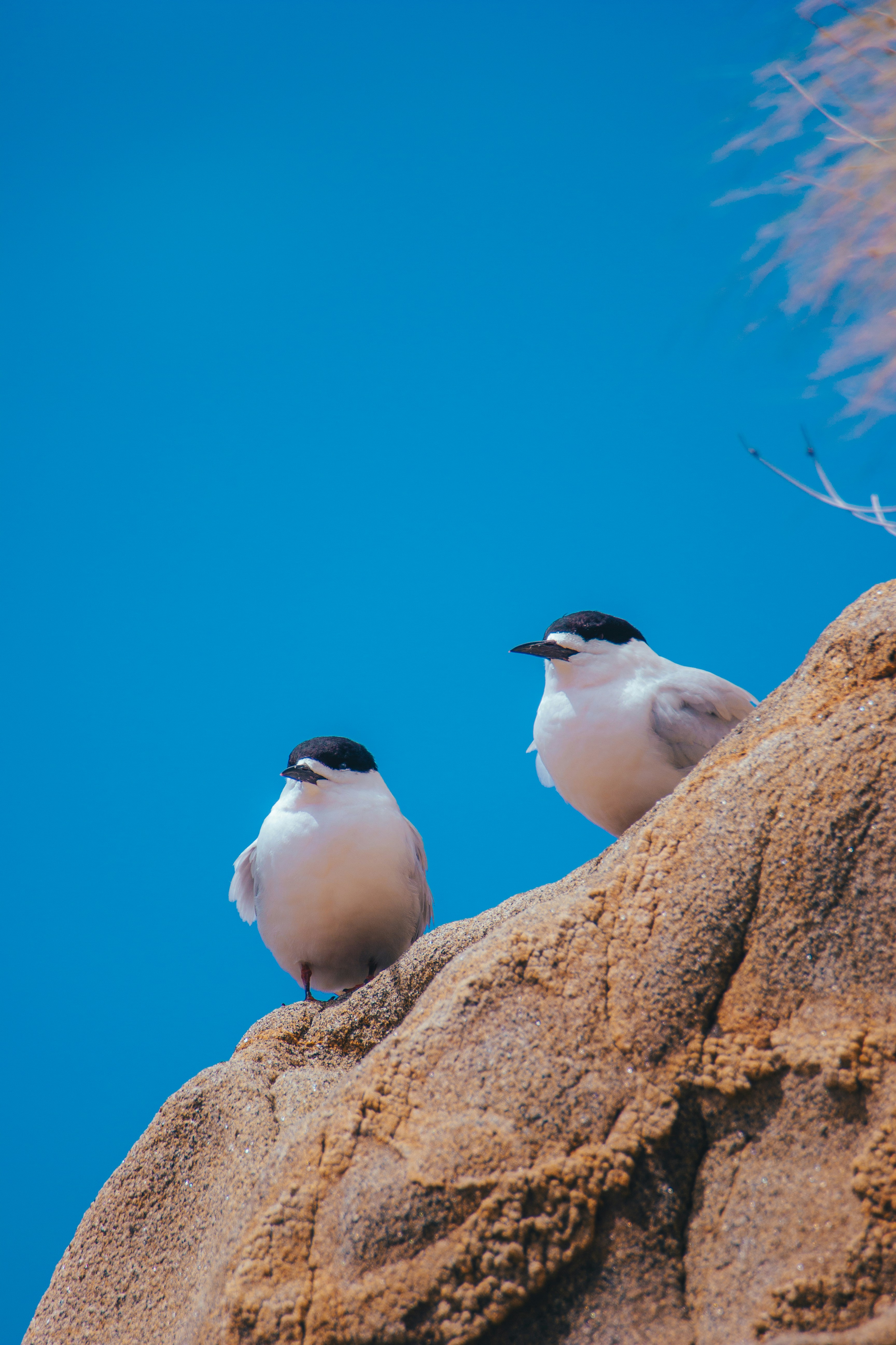 Photo by Katelyn G with Canon EOS 550D