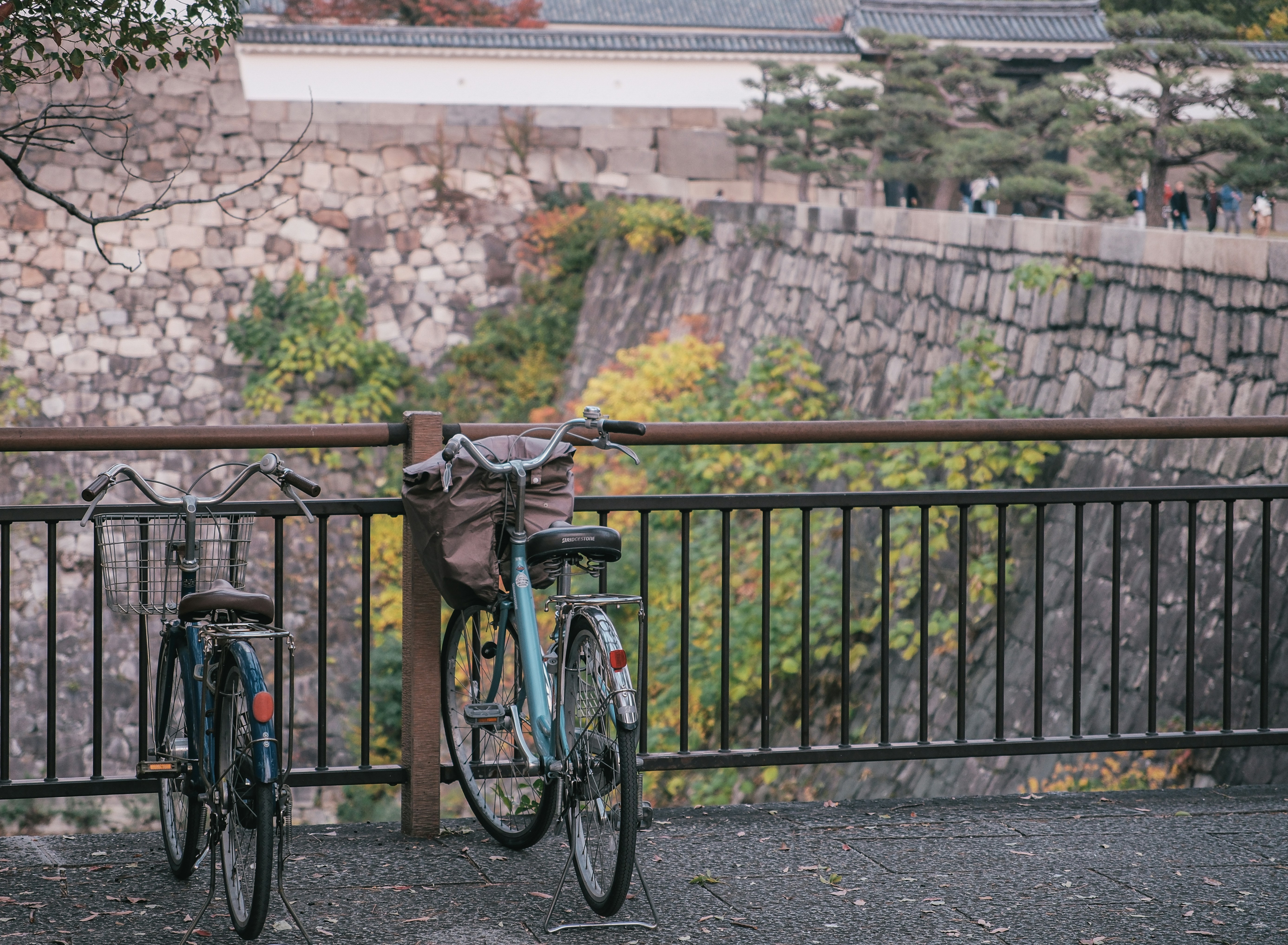 Photo by Huy Phan with Fujifilm X-S20