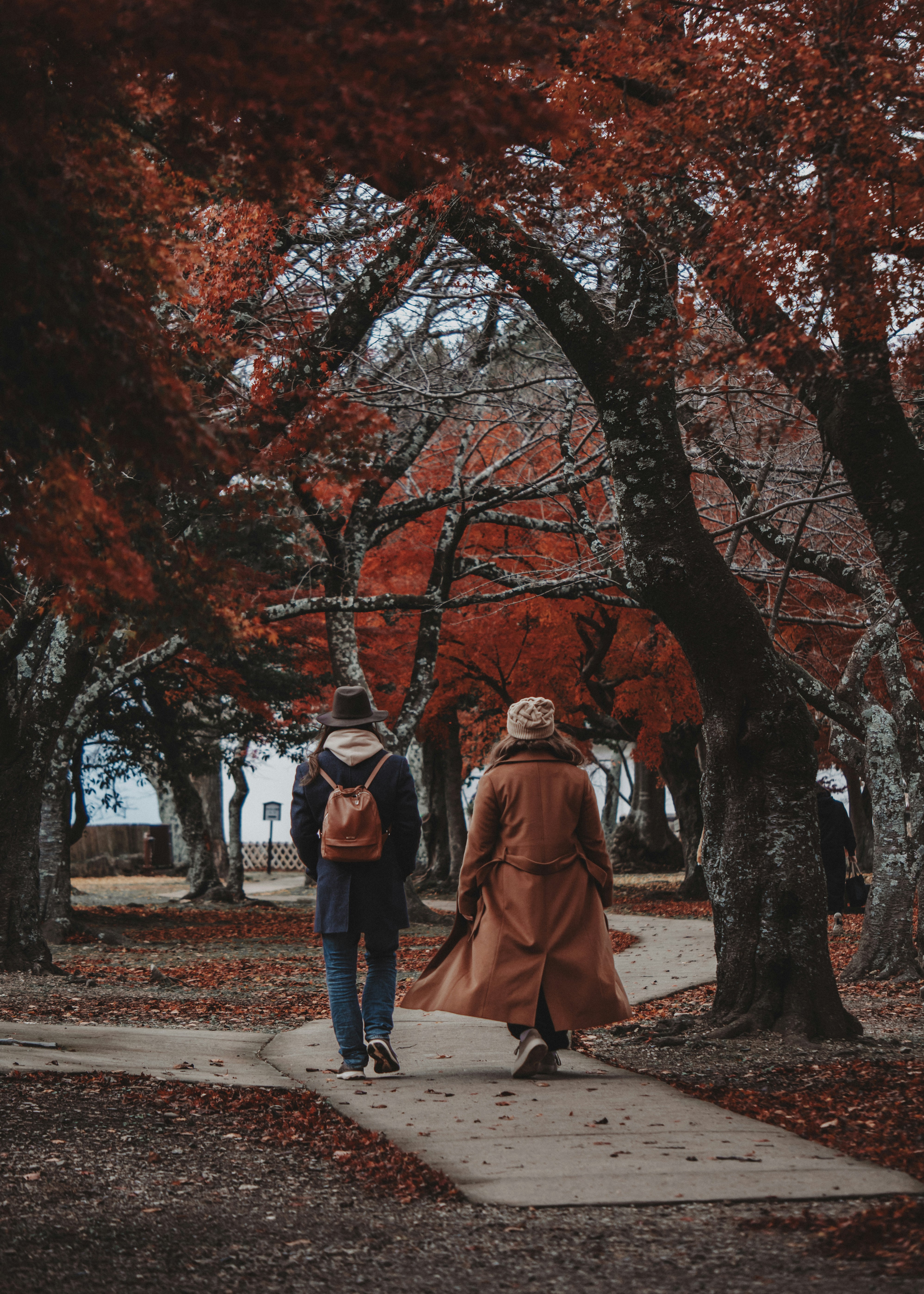 People walking through a park in winter in Japan