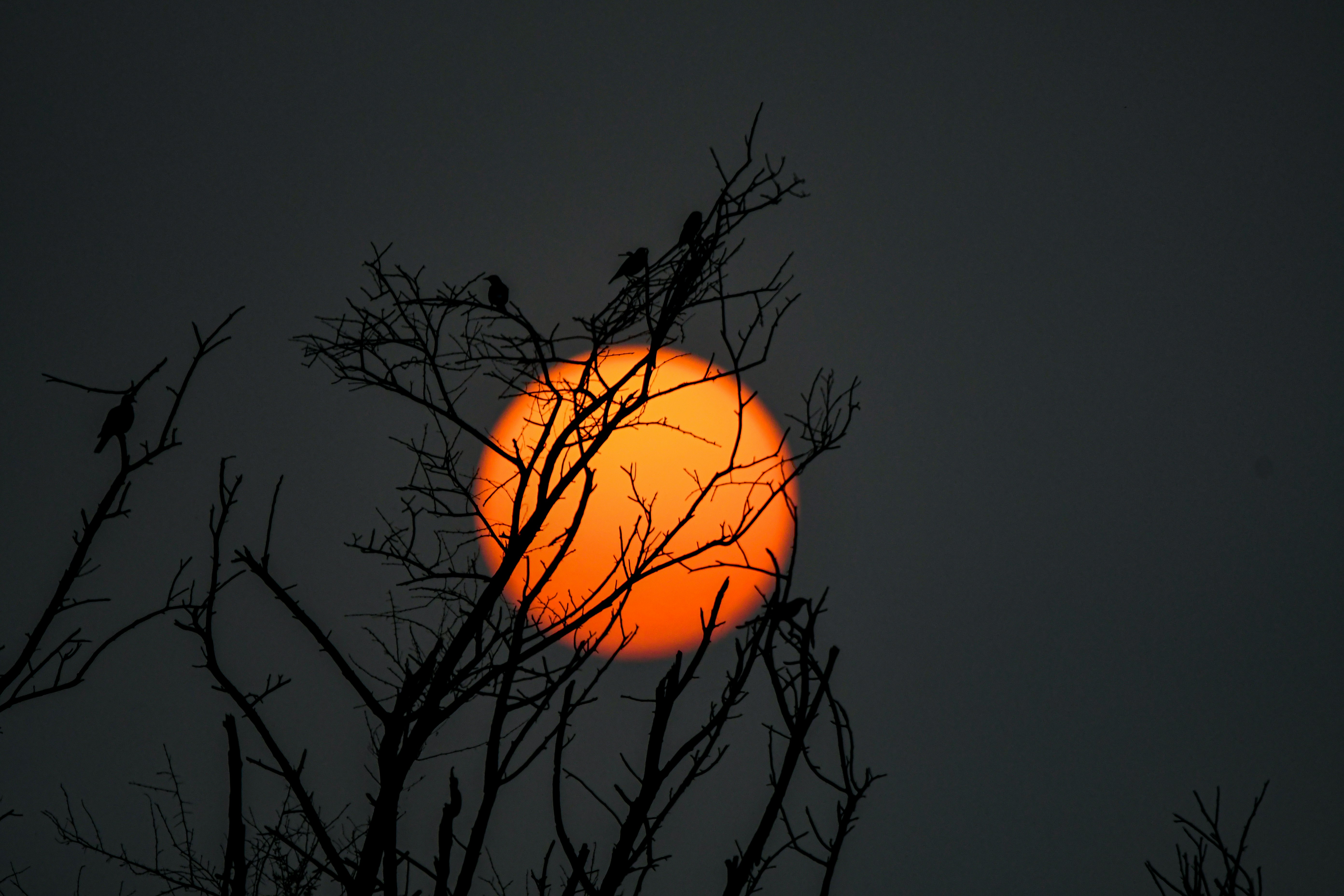 Photo by Amit Rai with Nikon D7500