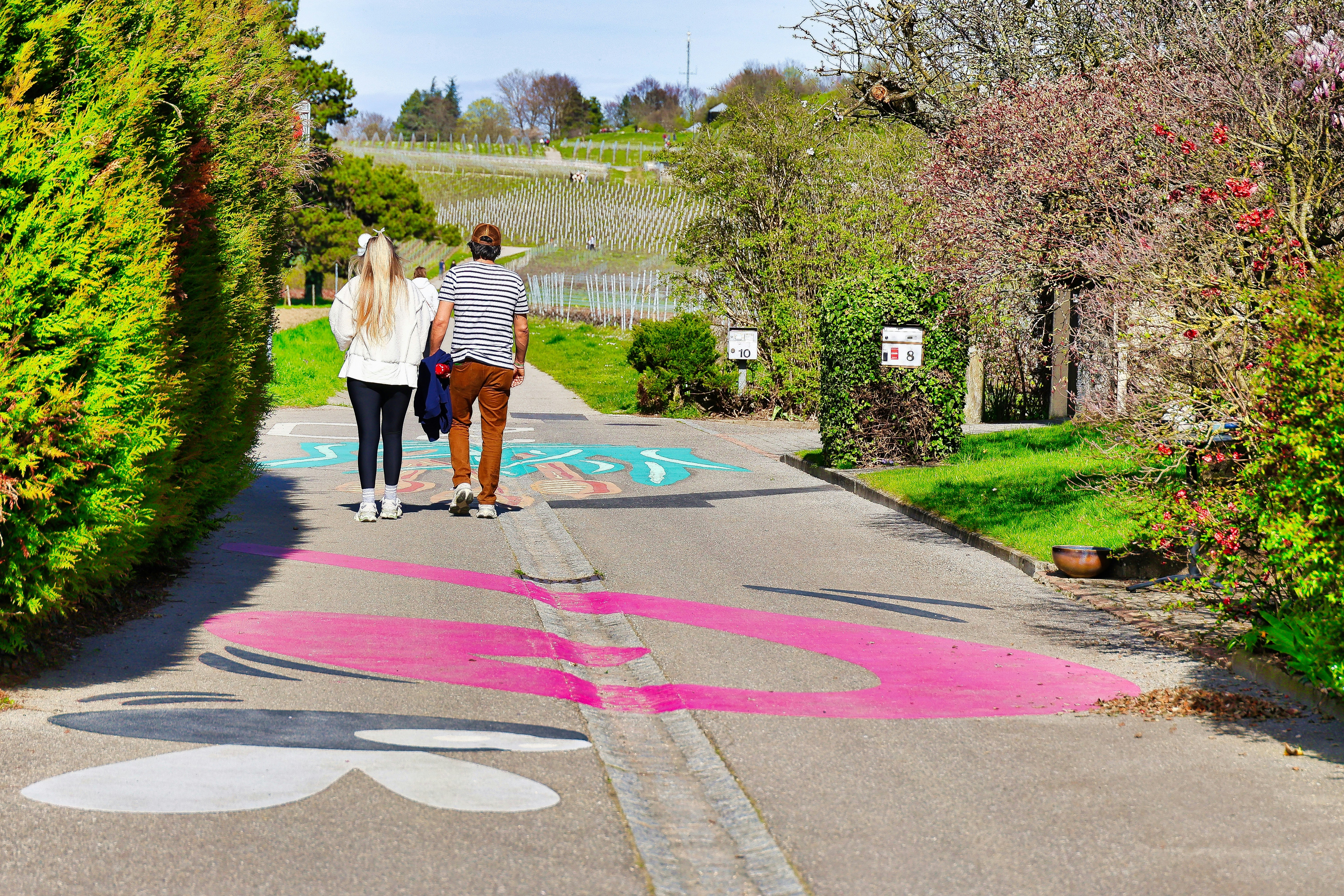 Une zone de rencontre mise en scène par de larges motifs colorés au sol, qui donnent visibilité aux piétons et caractère au hameau de Sézenove.- Bernex (Genève)