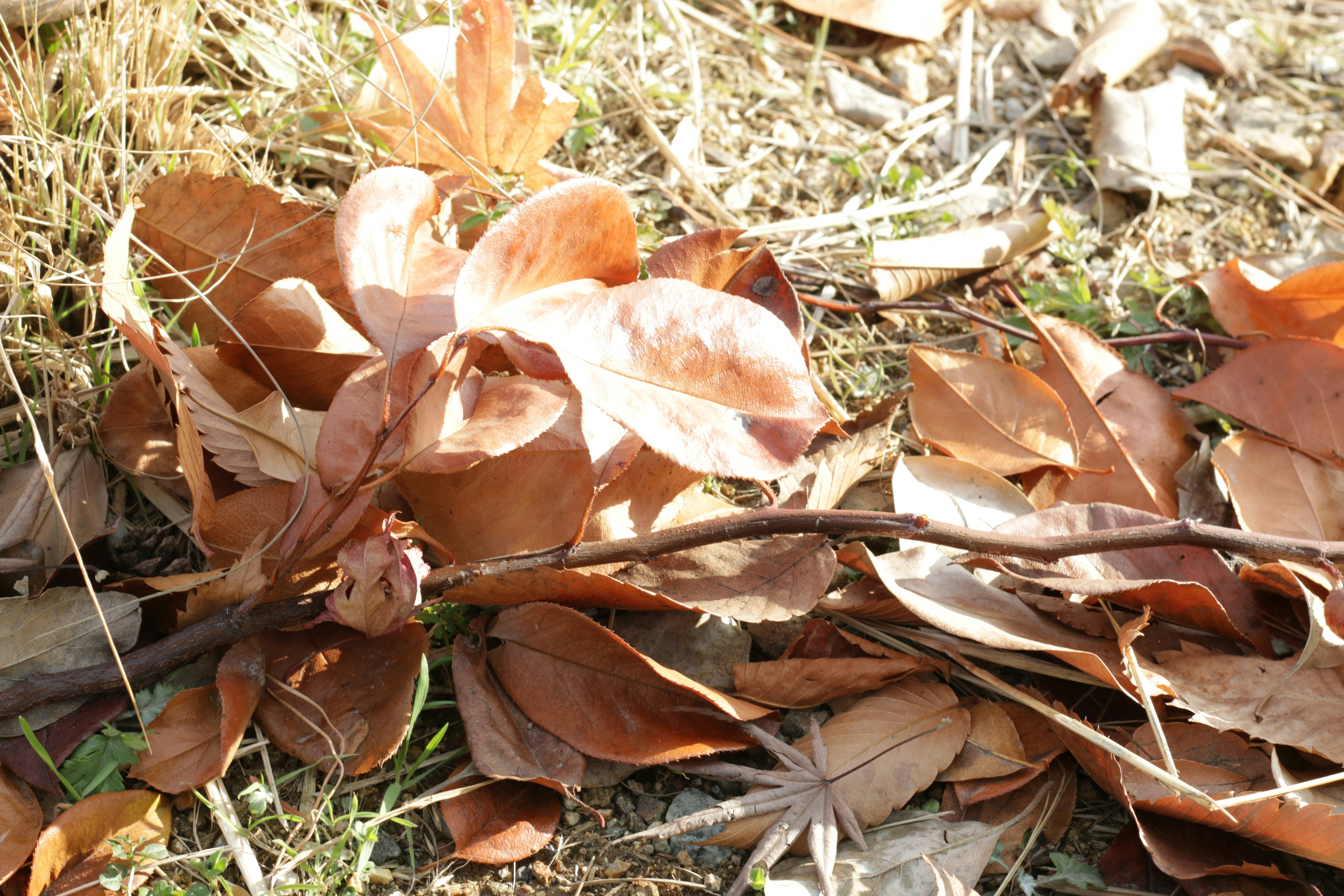 Photo by Choi Chulho with Canon EOS 70D