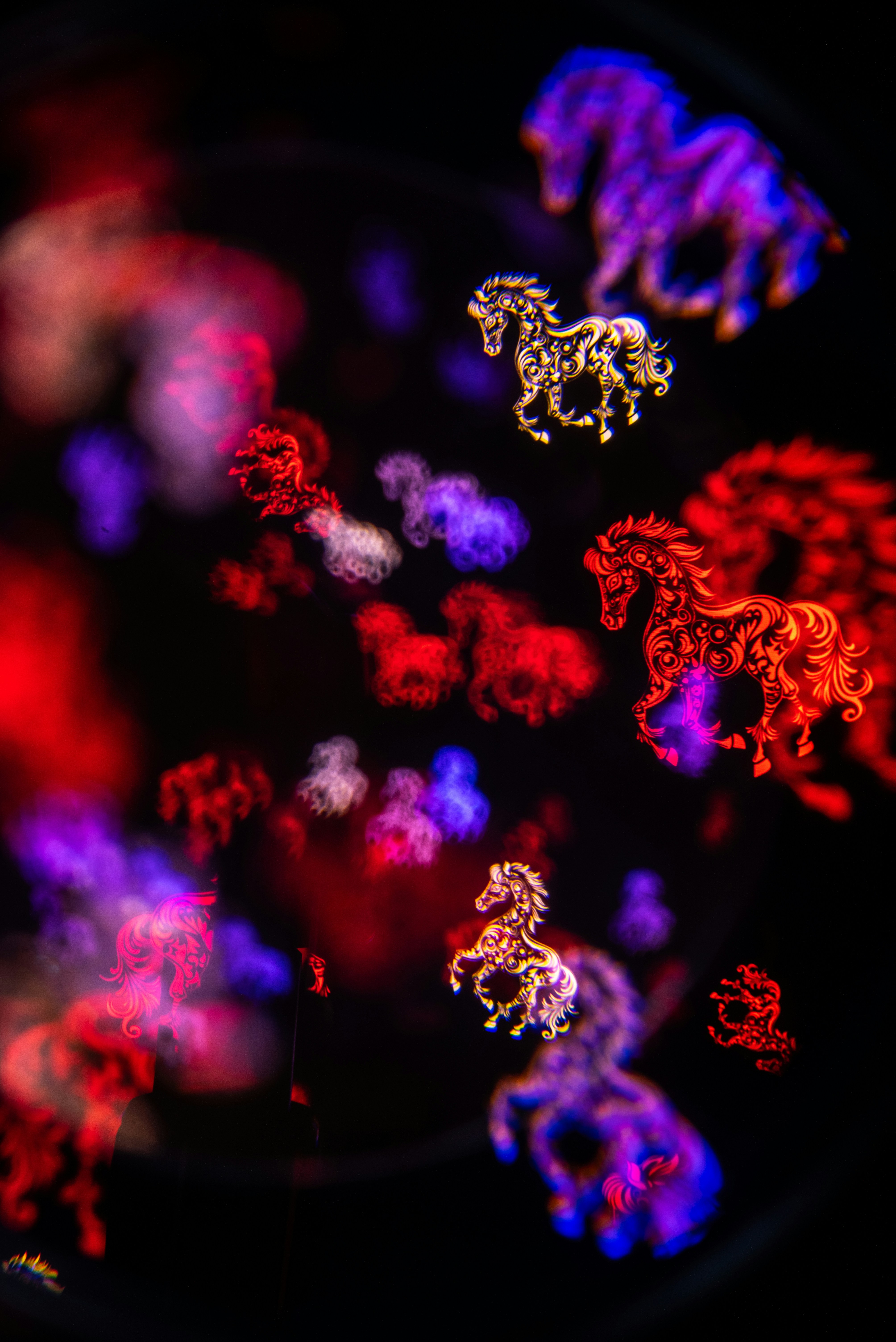 Ornate horses with colorful bokeh lights photo – Free Horse Image on ...