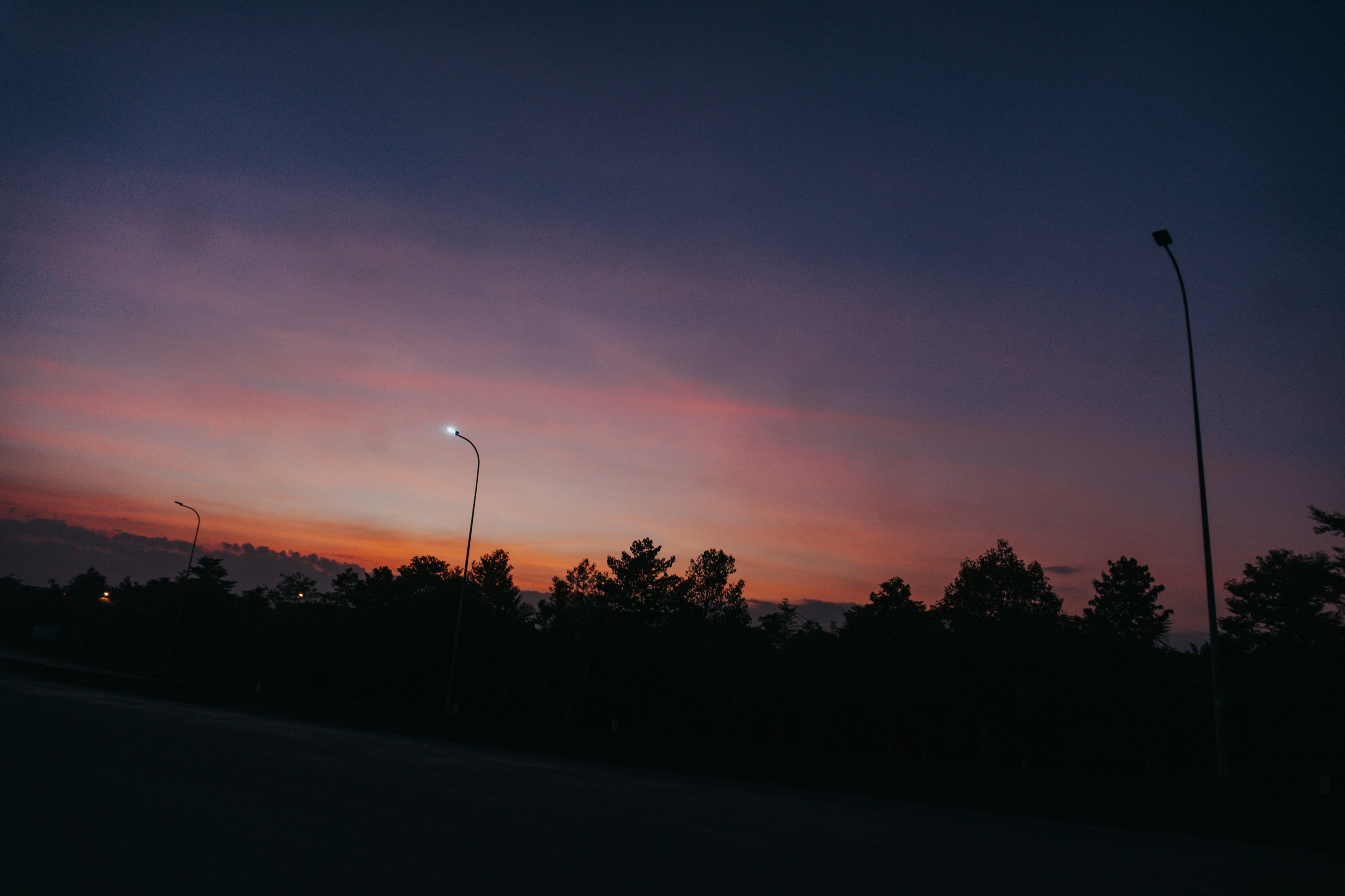 Dusk Roadside: Silhouettes Beneath a Fading Violetsky