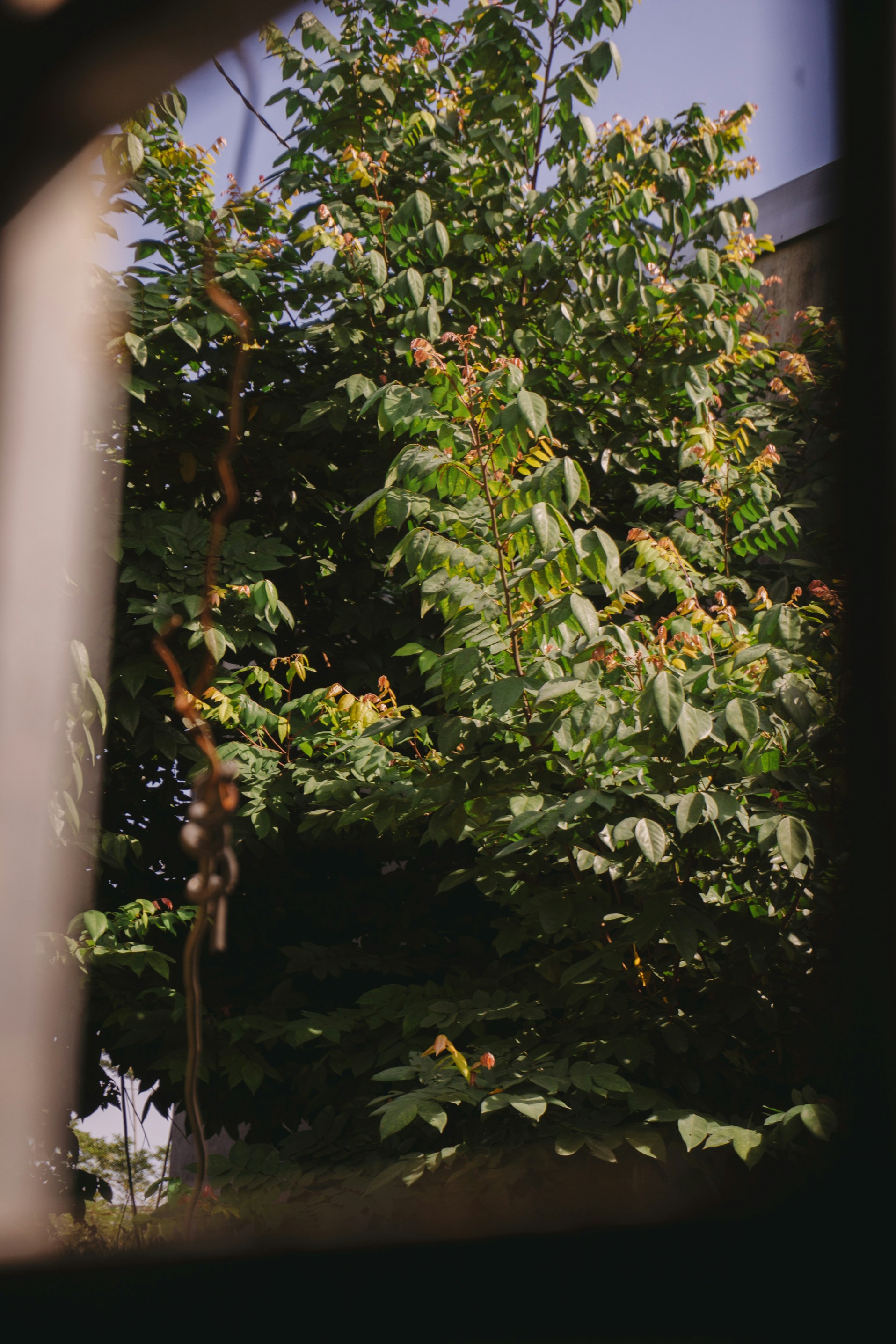 Photo by Minh Đức with Sony NEX-7