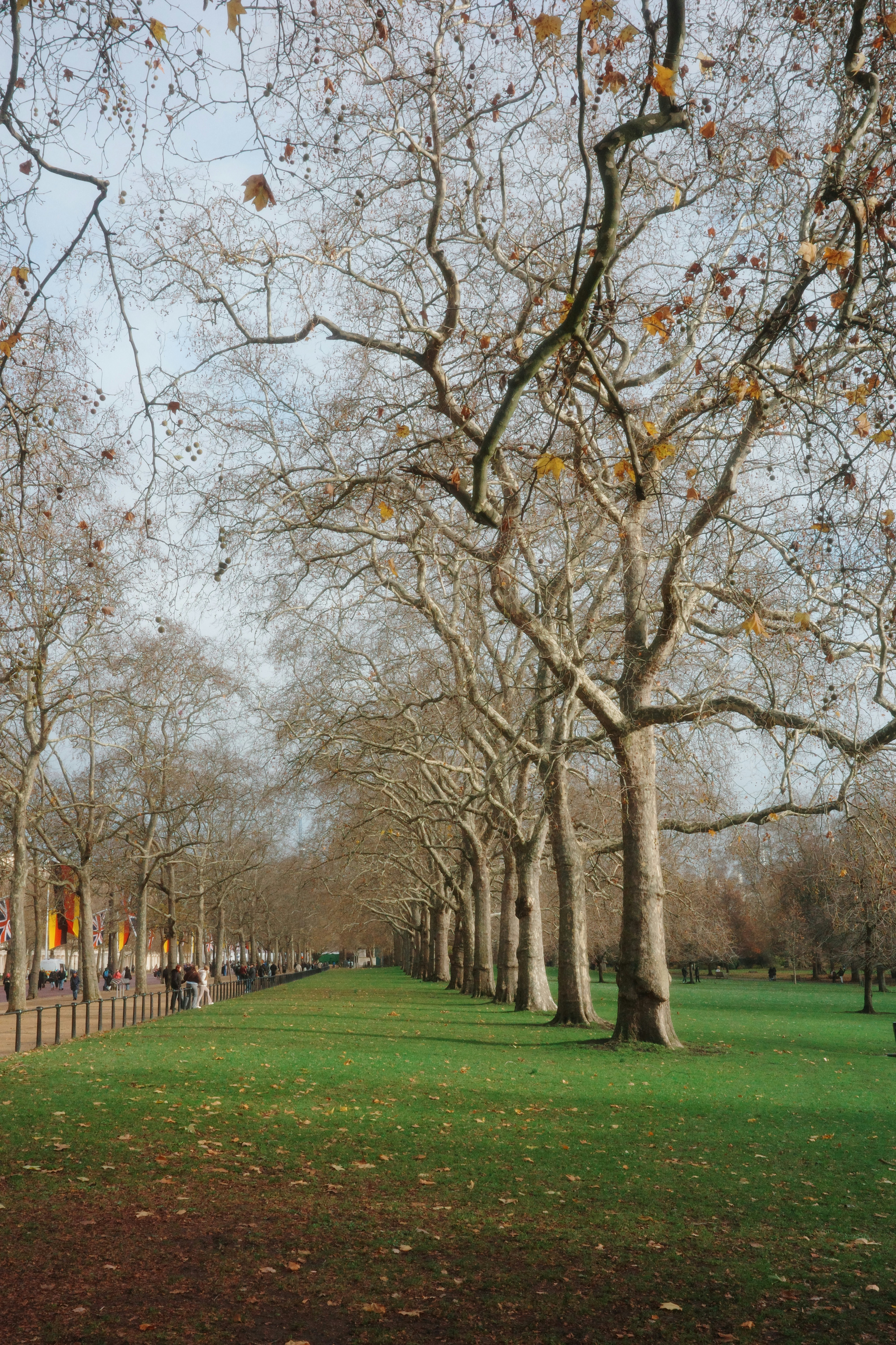 Photo by Vladimir Khoteev with Ricoh GR IIIx