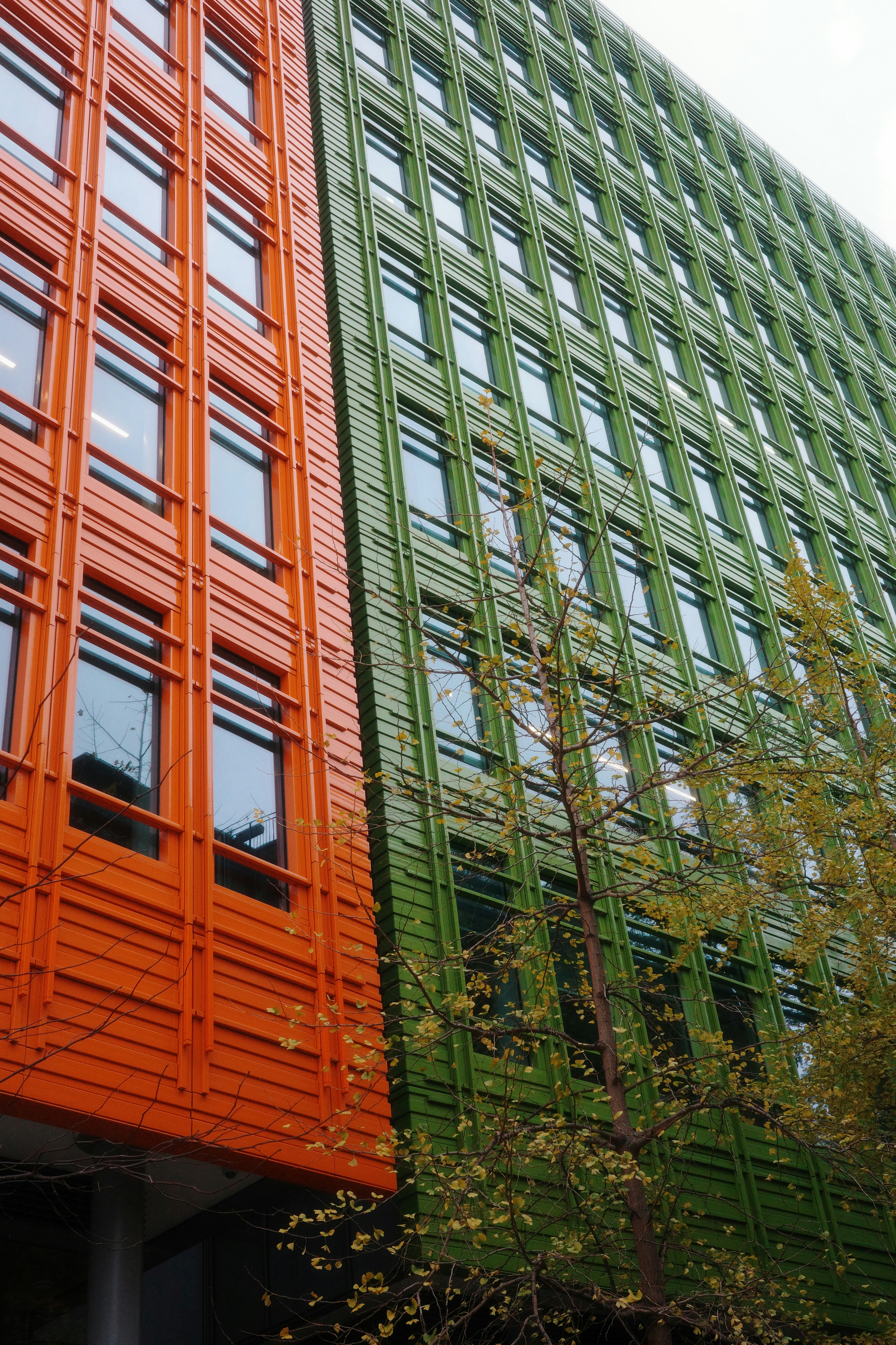 Two-Tone Facade: A Playful Strata of Orange and Green