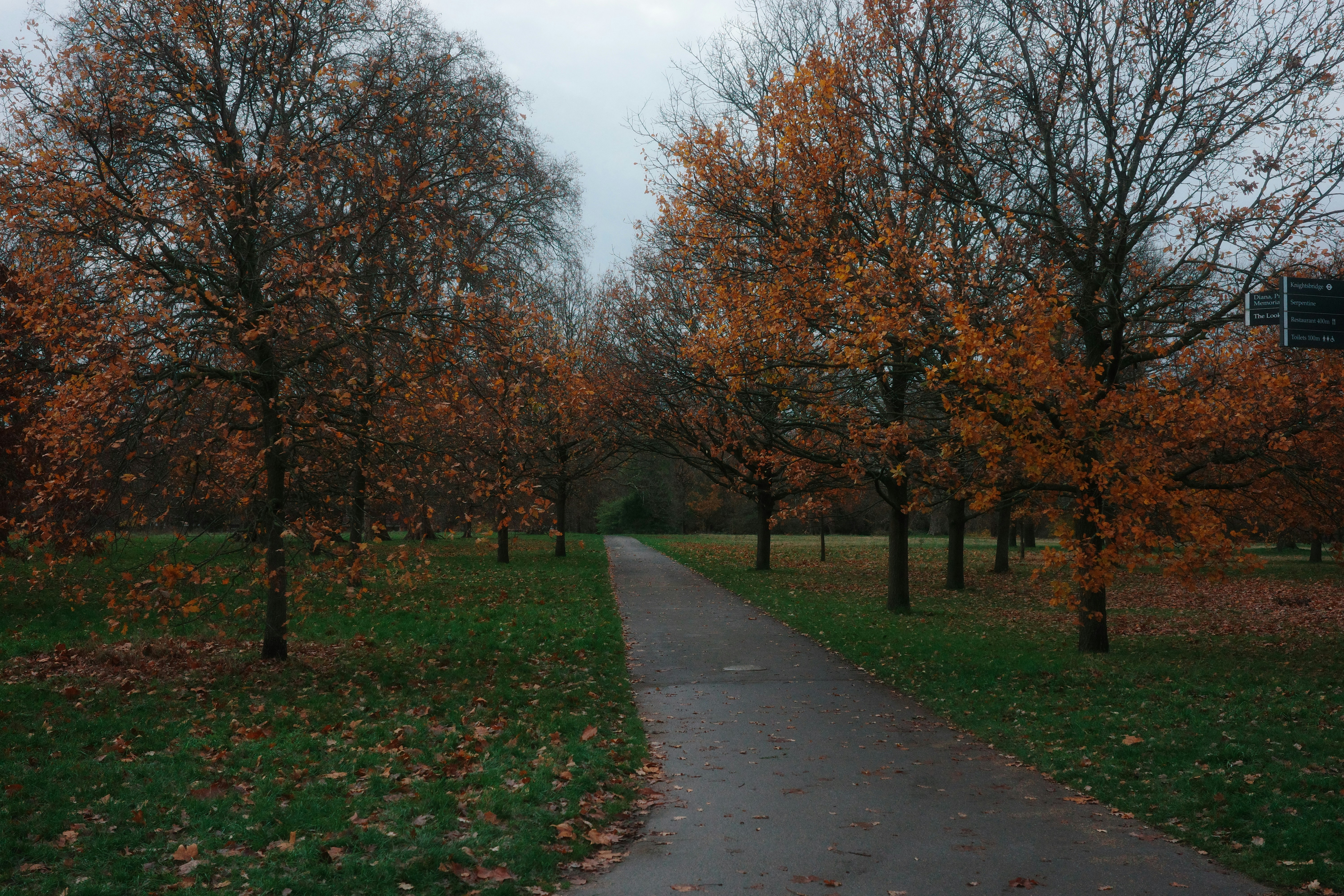 Photo by Vladimir Khoteev with Ricoh GR IIIx