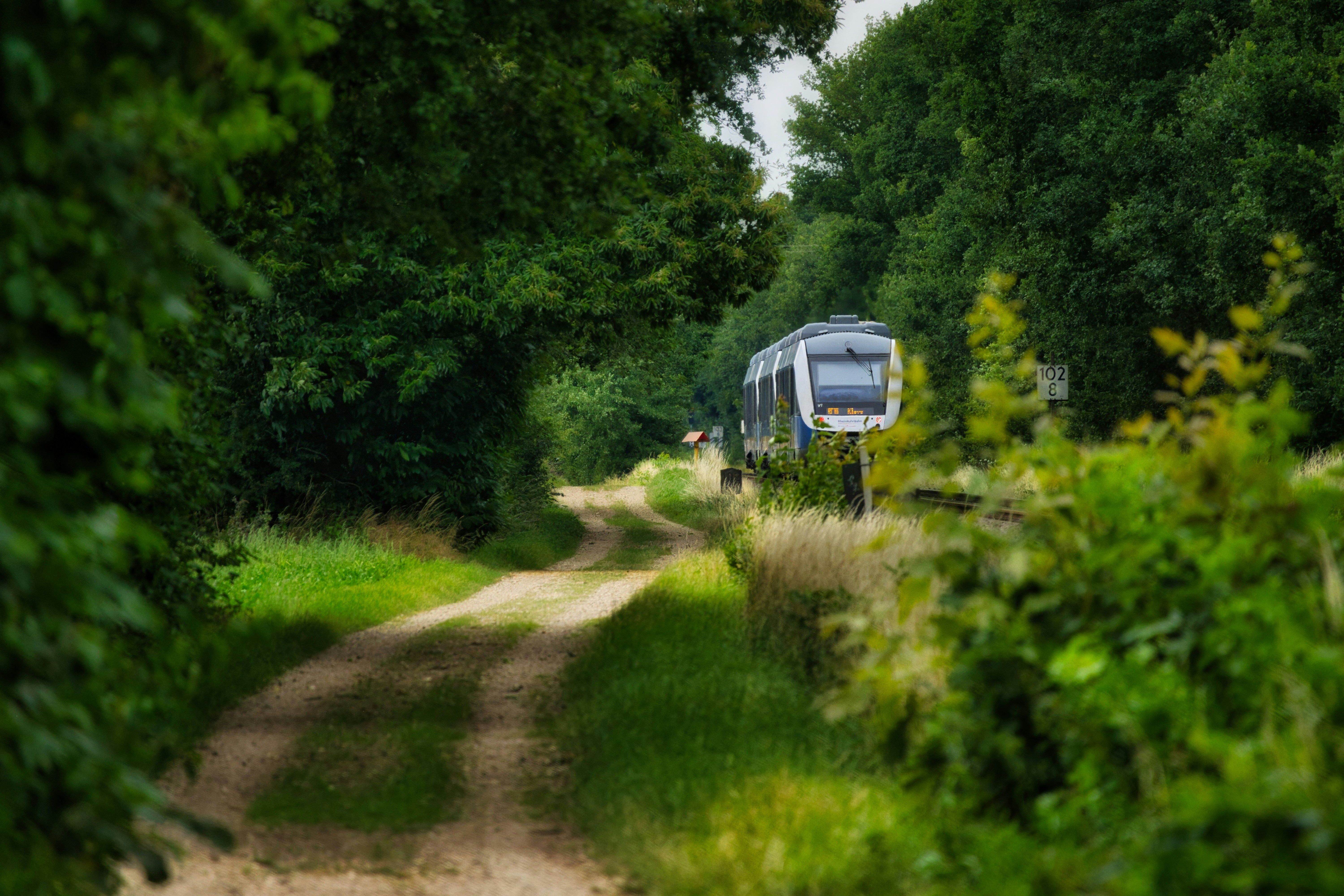 Locomotive on a Quiet Green Corridor