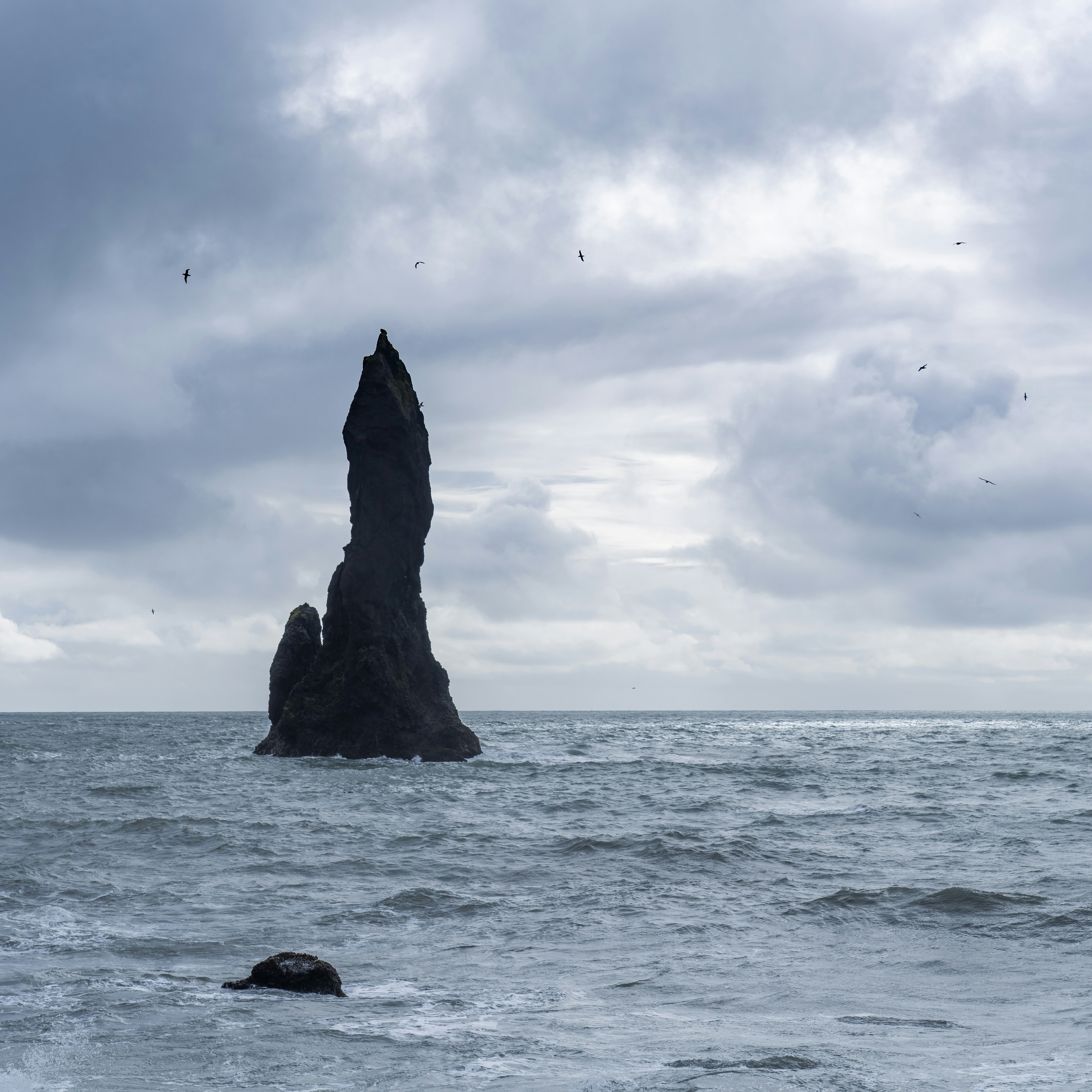 Prominent Sea Needle Emerges from Brine Gray Skies